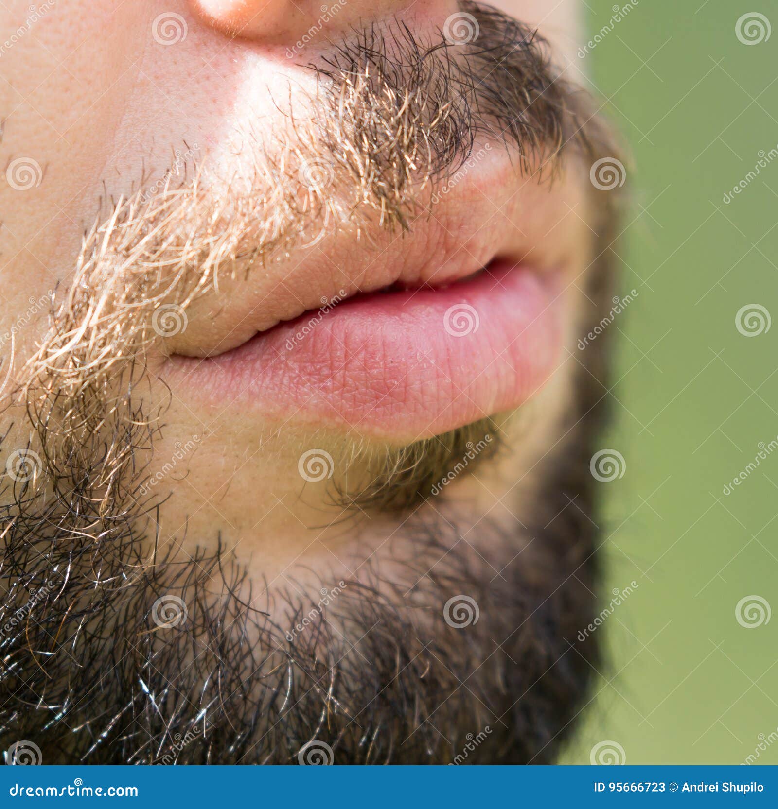 Hair of a Man with a Beard and Mustache Stock Image - Image of macro ...