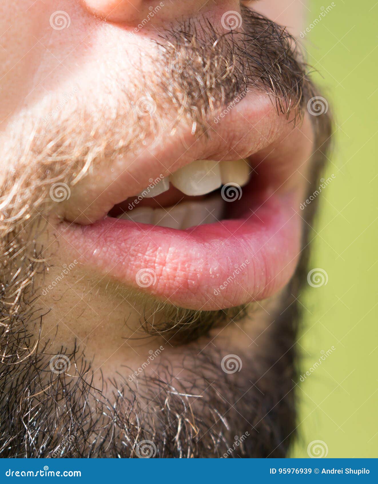 Hair of a Man with a Beard and Mustache Stock Image - Image of ...