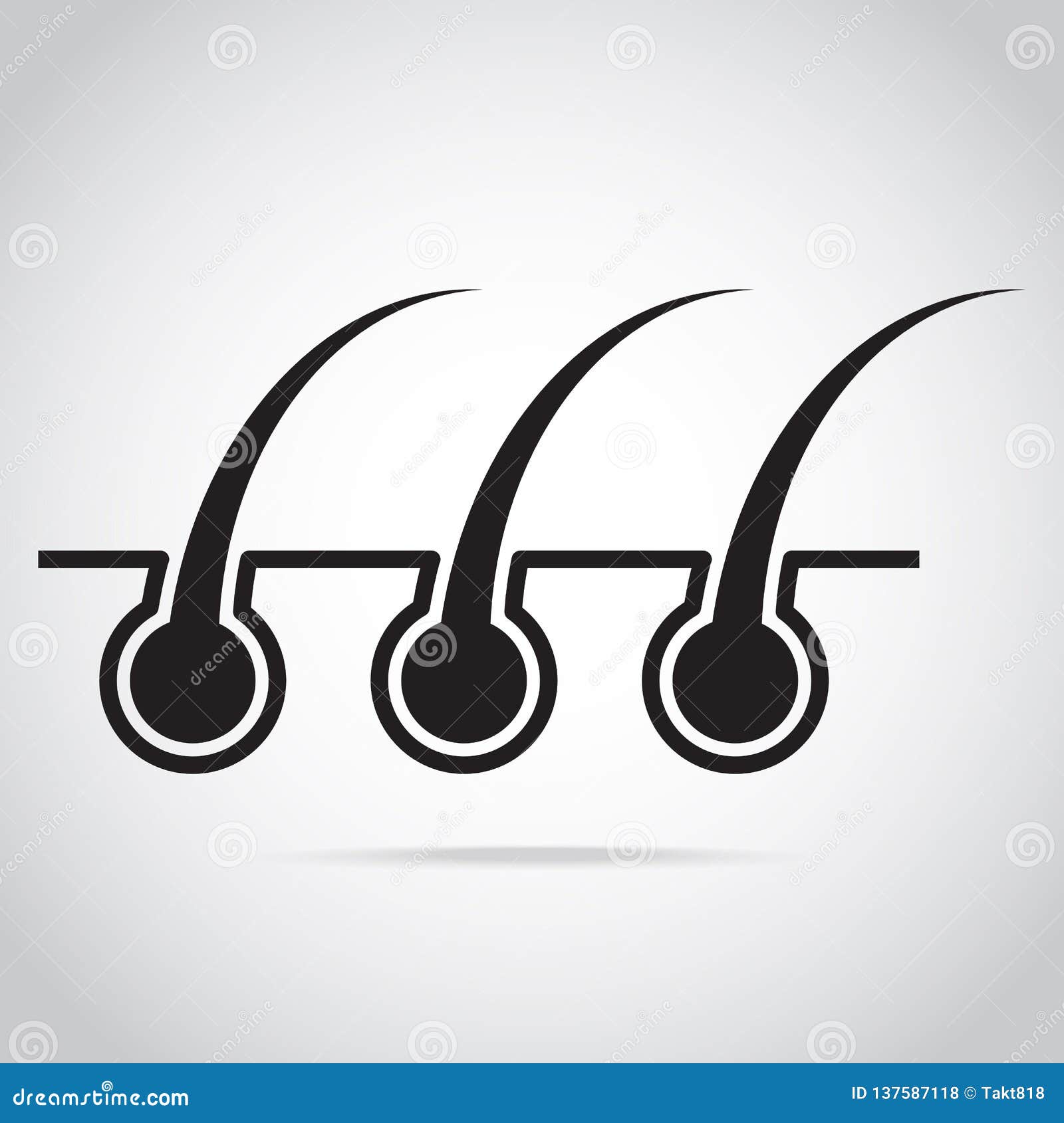 Hair Root Explained Composition Vector Illustration | CartoonDealer.com ...