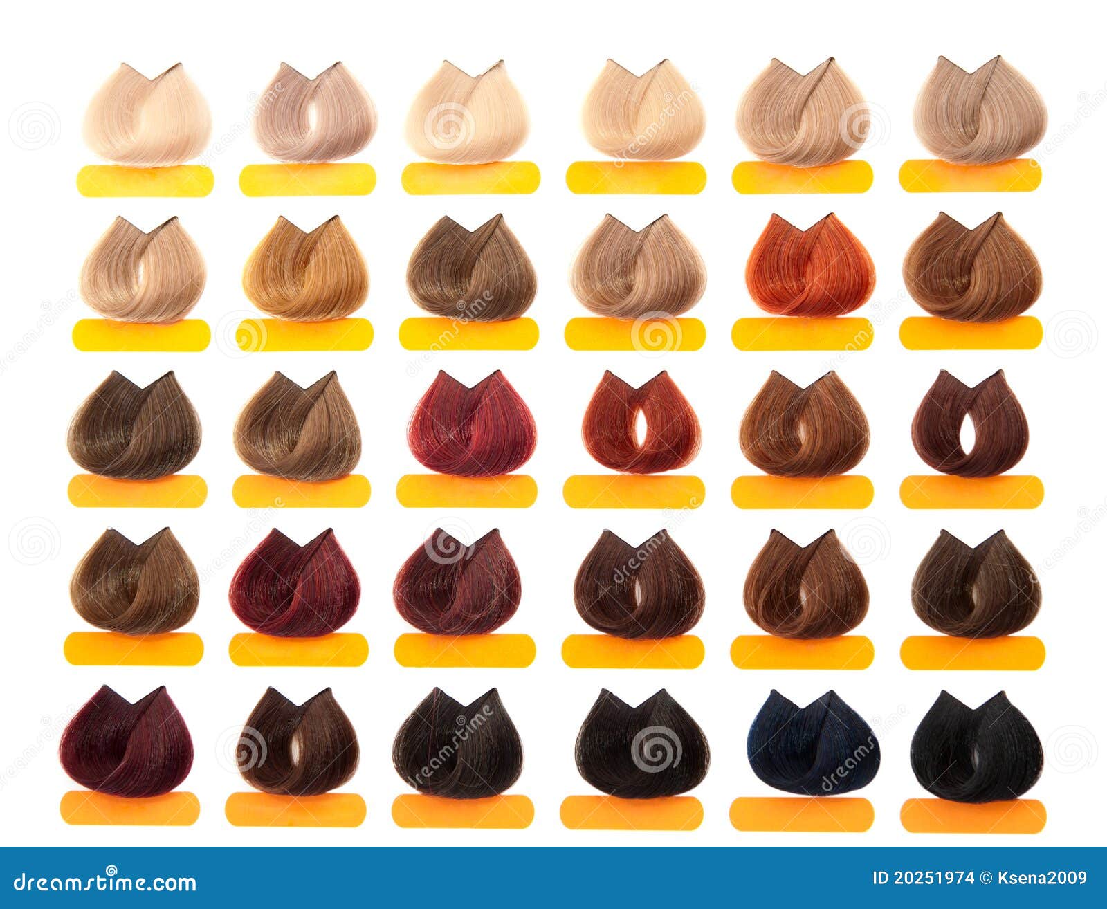 Hair samples stock photo. Image of isolated, intensity - 20251974