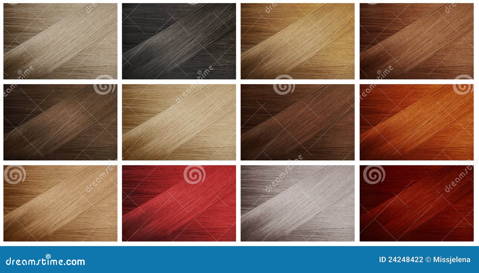 Hair Samples stock photo. Image of lock, brunette, barber - 24248422