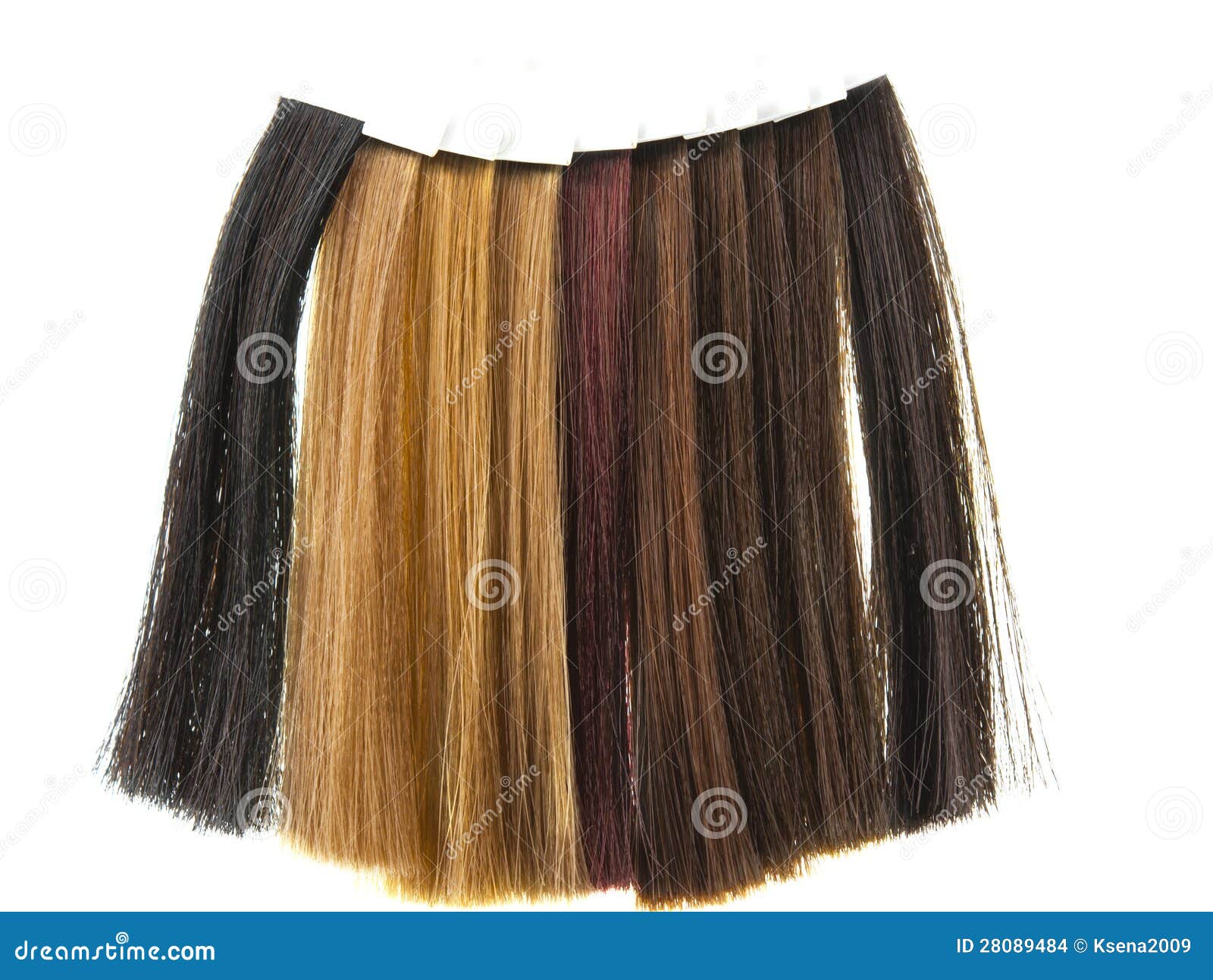 Hair samples stock photo. Image of fashion, colorful - 28089484