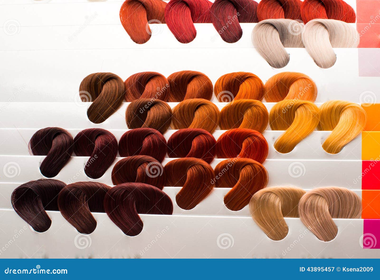 Hair Samples of Different Colors Stock Image - Image of brunette, hair ...
