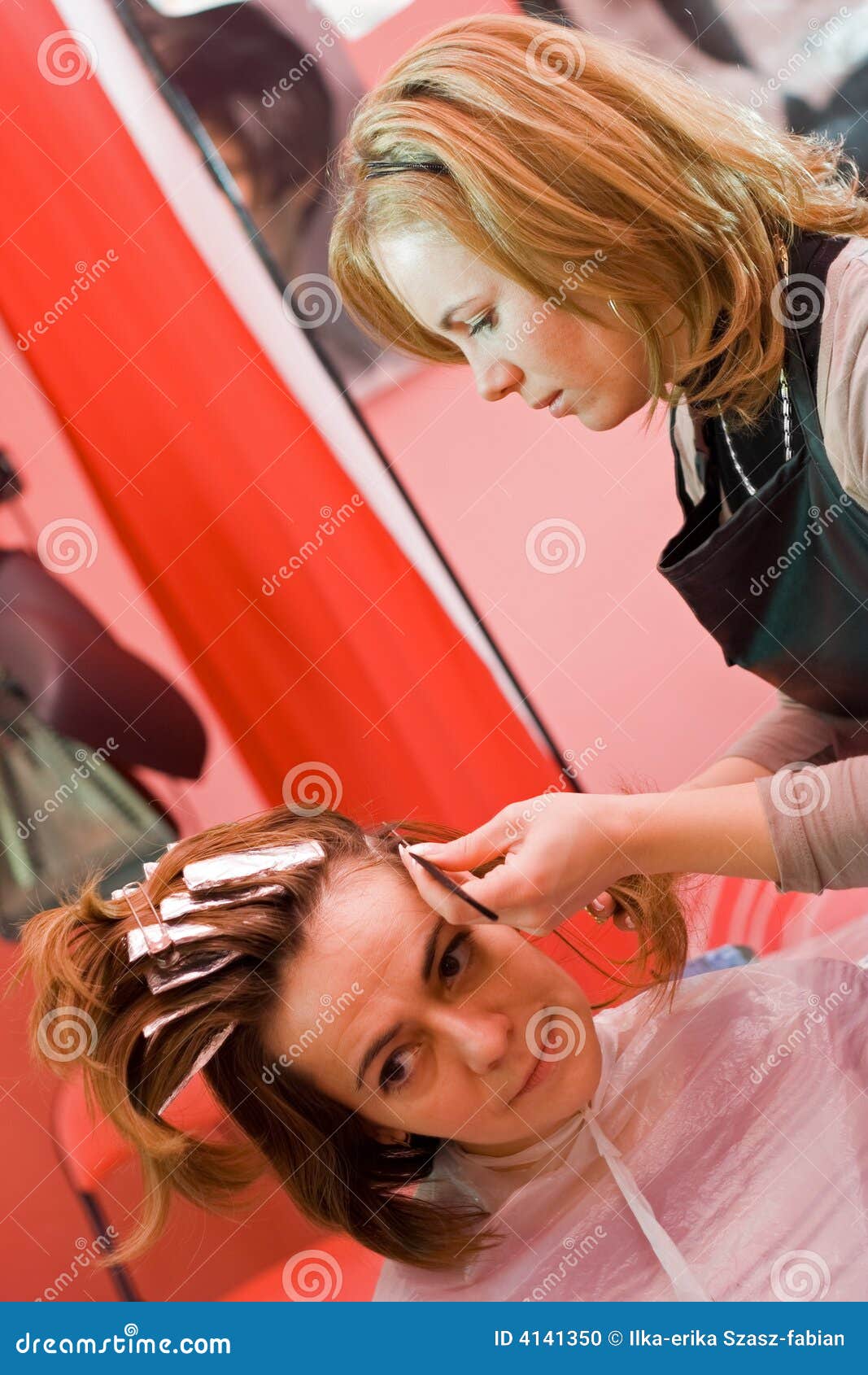 Hair-stylist stock photo. Image of hairdressing, profession - 4141350