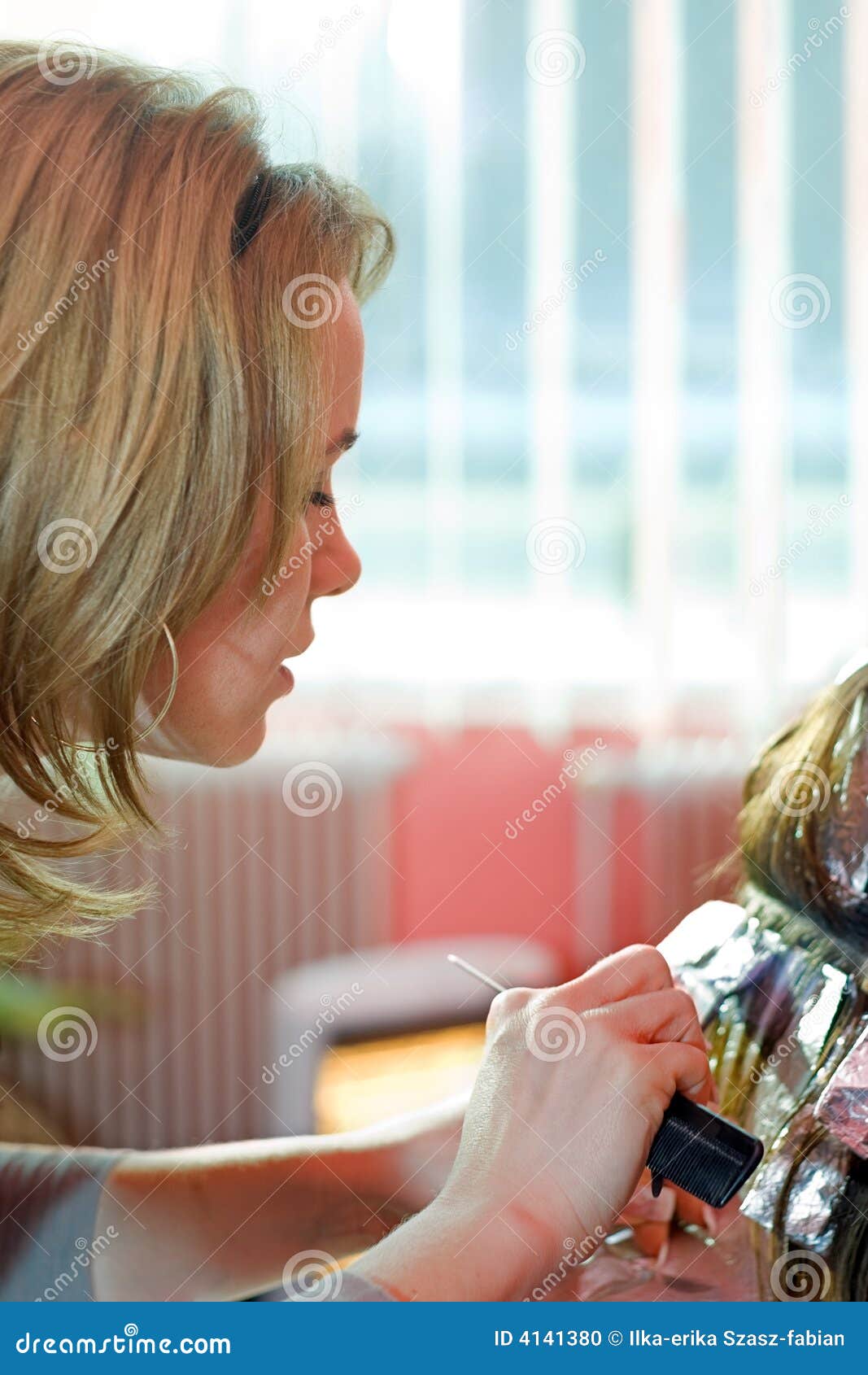 Hair-stylist stock photo. Image of painting, work, female - 4141380
