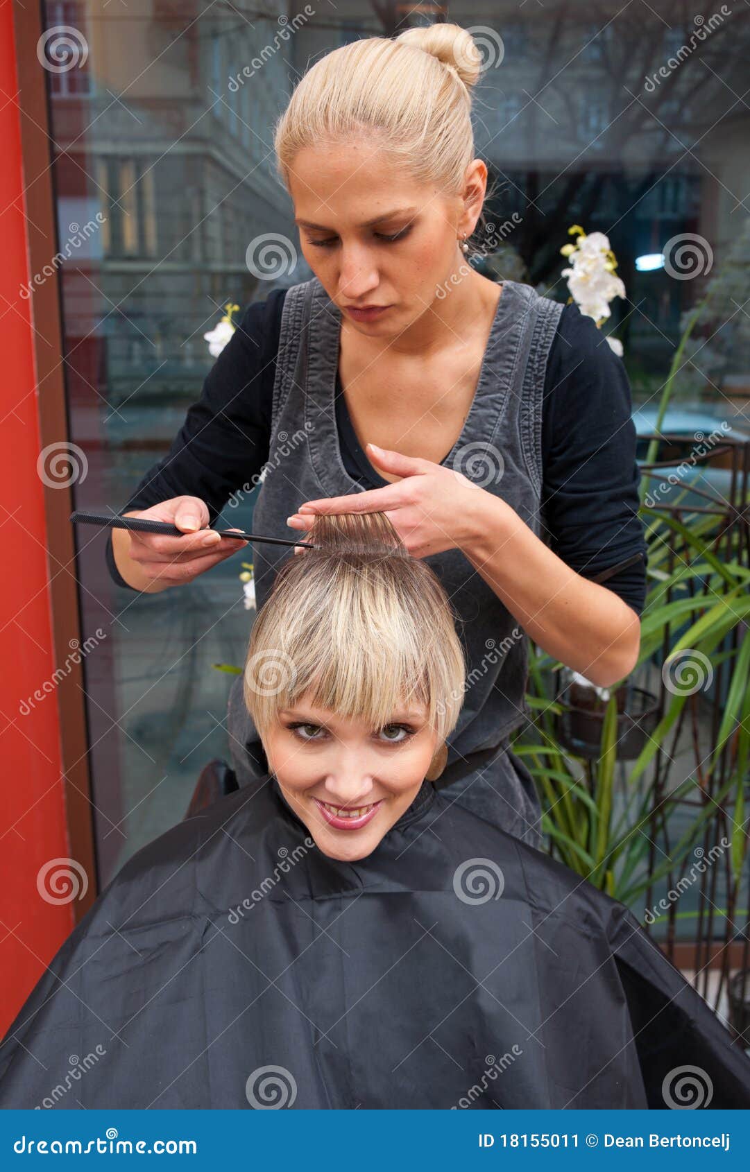 Hair stylist at work stock image. Image of salon, happy - 18155011