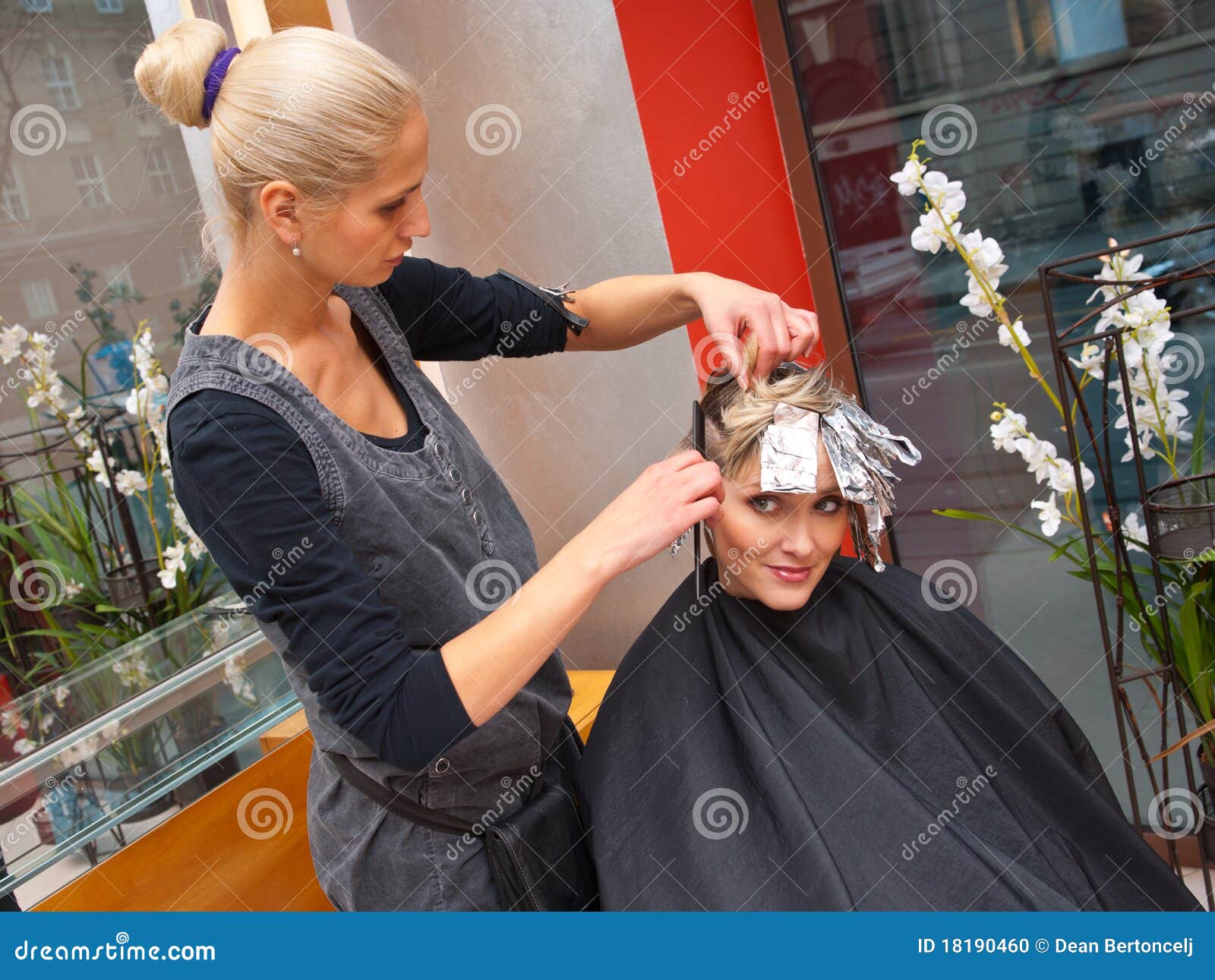 Hair stylist at work stock photo. Image of stylist, making - 18190460