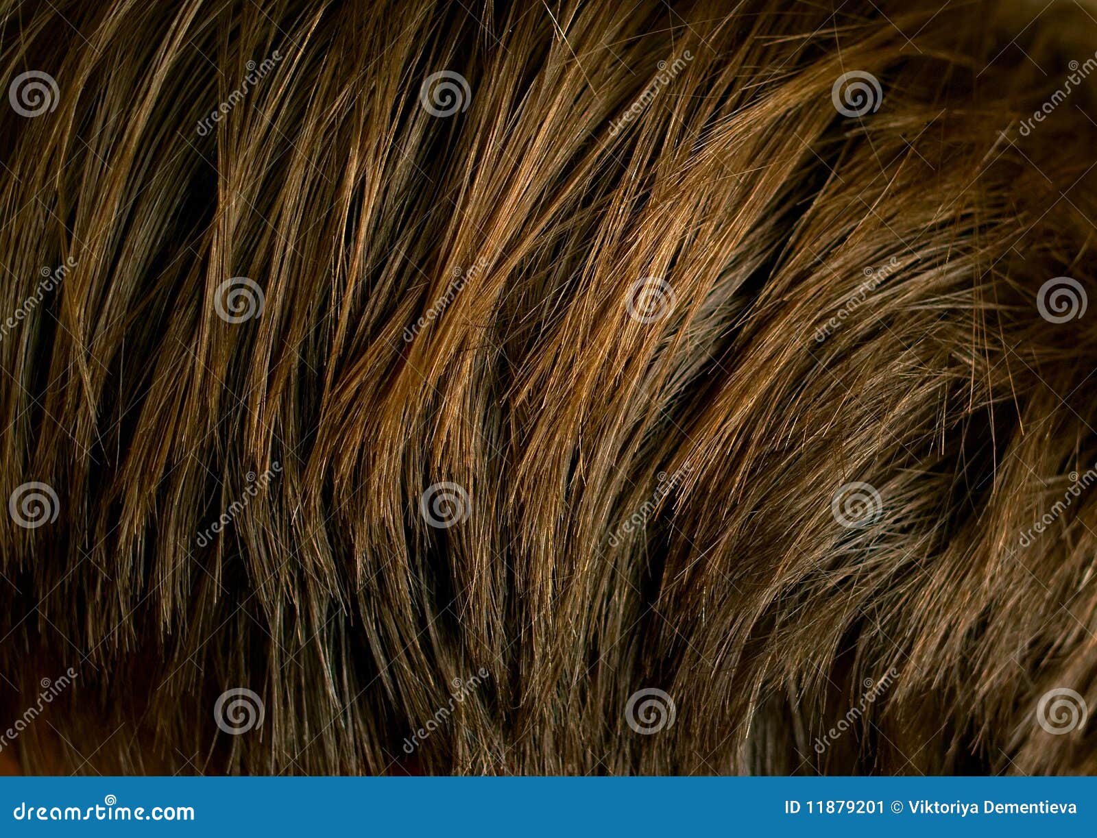Hair texture stock image. Image of yellow, beauty, textured - 11879201