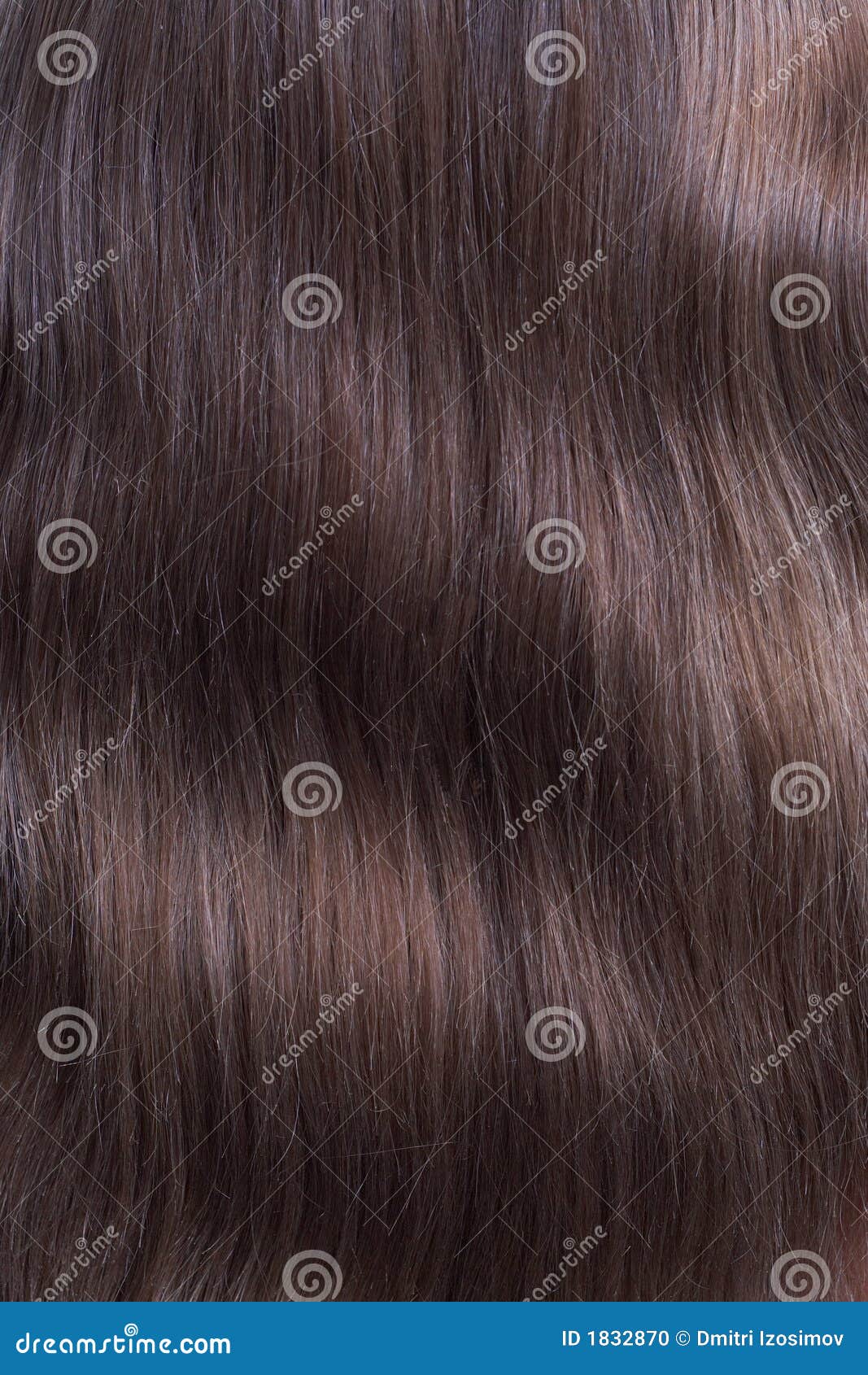 Hair texture stock photo. Image of brown, hair, shiny - 1832870