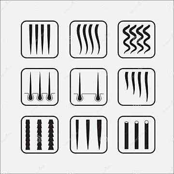 Hair texture chart. stock vector. Illustration of indian - 118496128