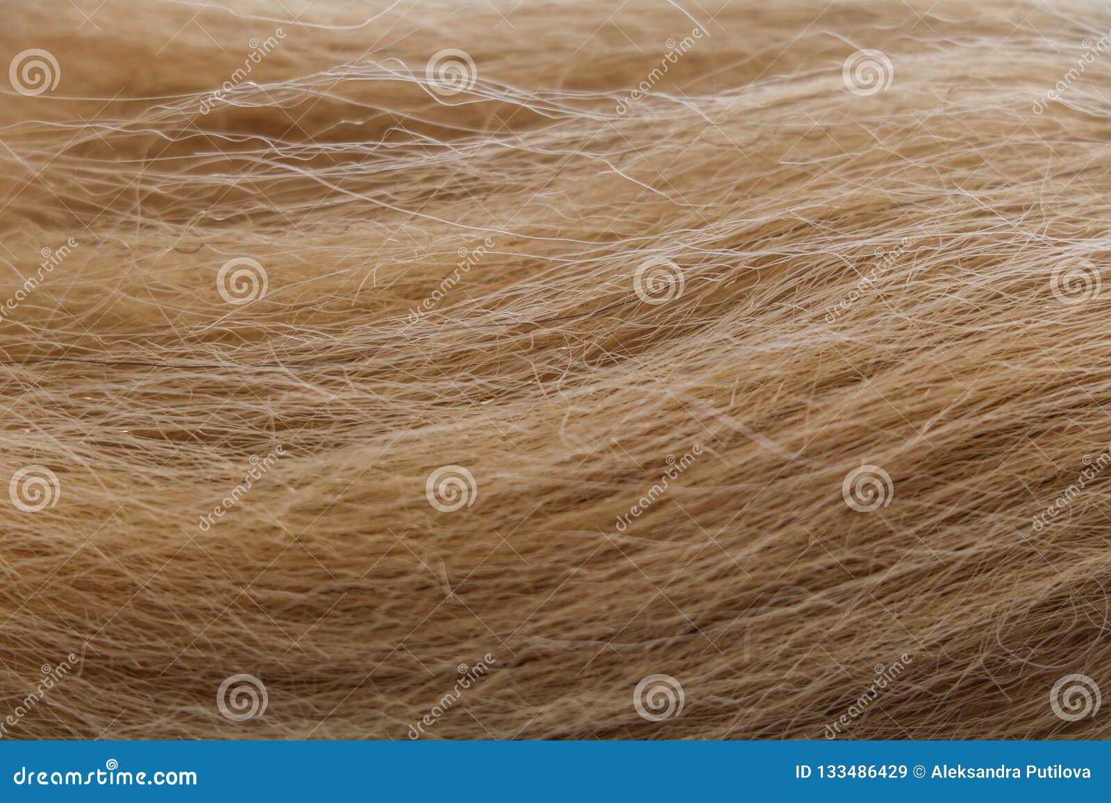 Hair Lines Stock Images - Download 4,327 Royalty Free Photos