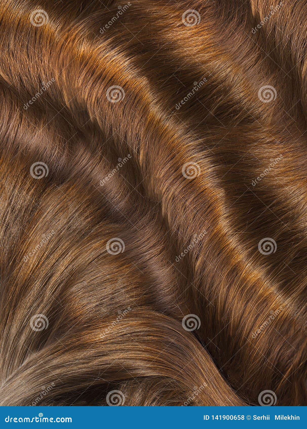 Hair. Hair Texture stock photo. Image of human, color - 141900658