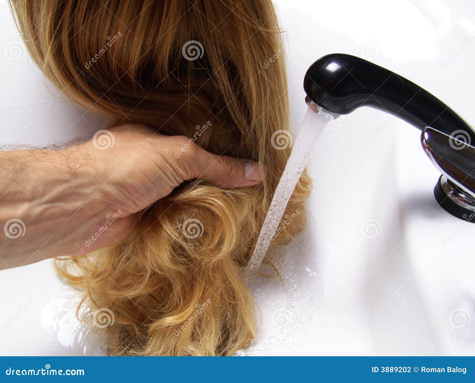 Hair wash stock photo. Image of woman, wash, blond, beauty - 3889202
