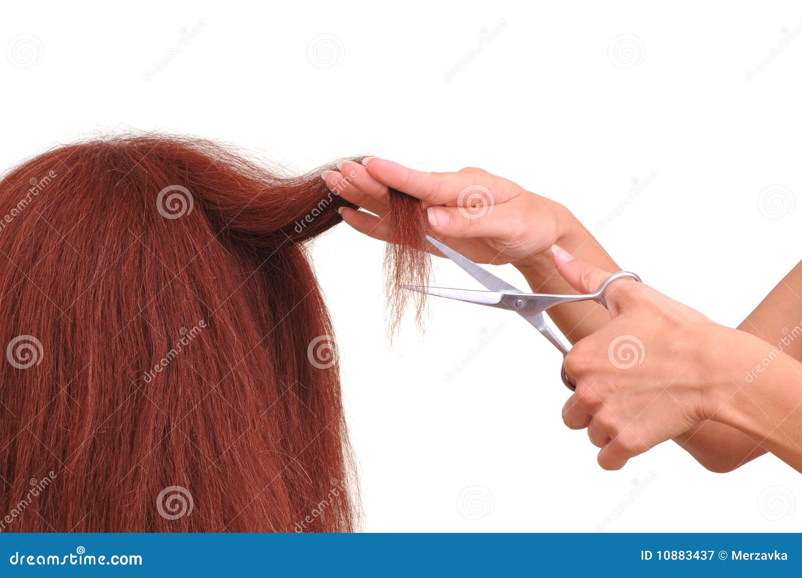 Haircut stock image. Image of hairdresser, female, people - 10883437