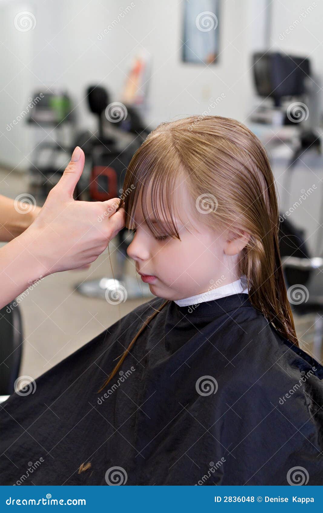 Haircut stock photo. Image of girl, beautician, haircut - 2836048