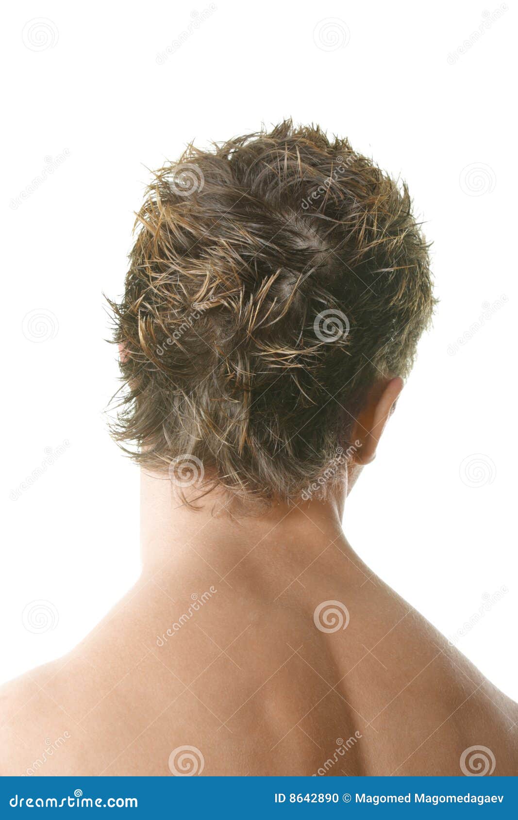 Haircut stock photo. Image of hairdress, dyed, stylish - 8642890