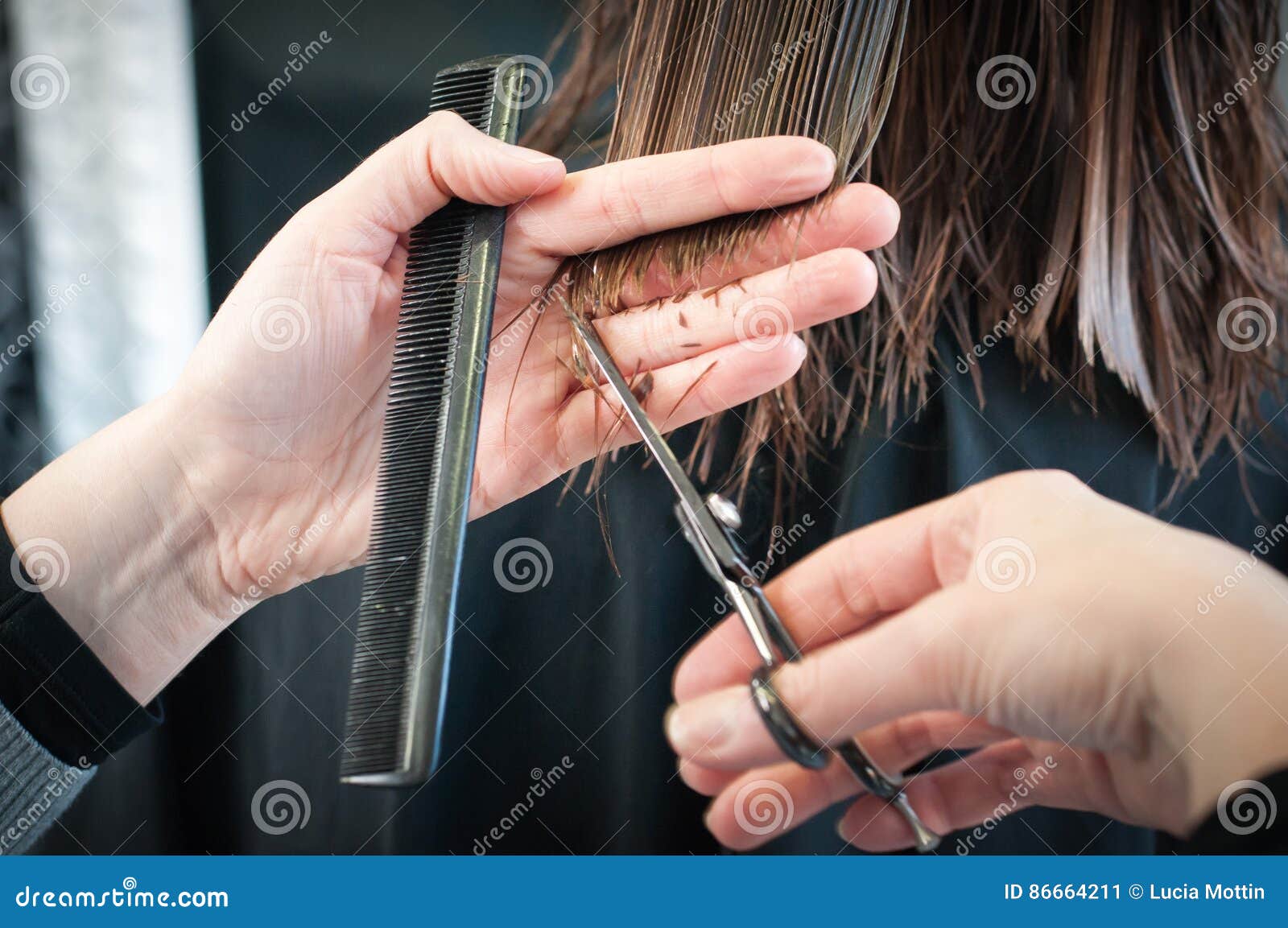 Haircut at the coiffeur stock image. Image of salon, brush - 86664211