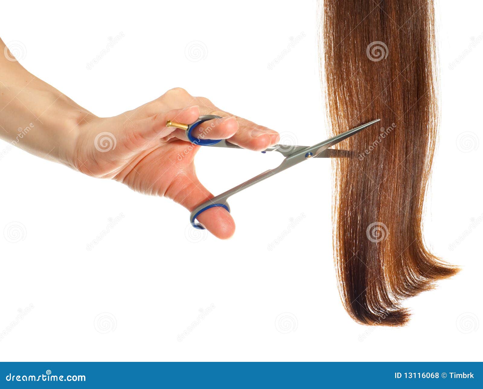 Haircutting stock photo. Image of white, scissors, straight - 13116068
