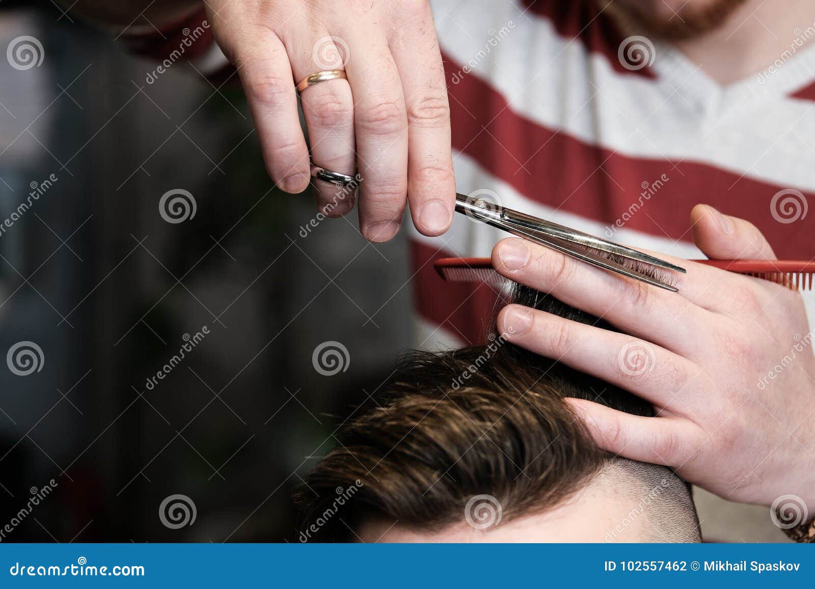 Hairdresser Man Shaves a Client with a Beard in a Barbershop Stock ... Hairdresser Man Shaves a Client with a Beard in a Barbershop Stock ...