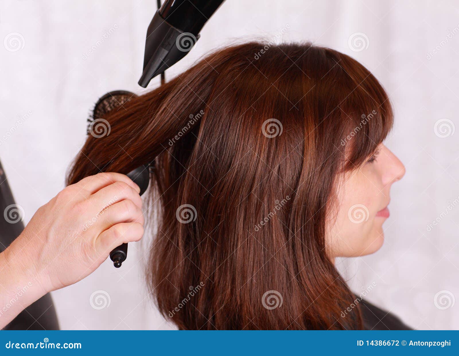 Hairdressing stock photo. Image of salon, woman, hair - 14386672