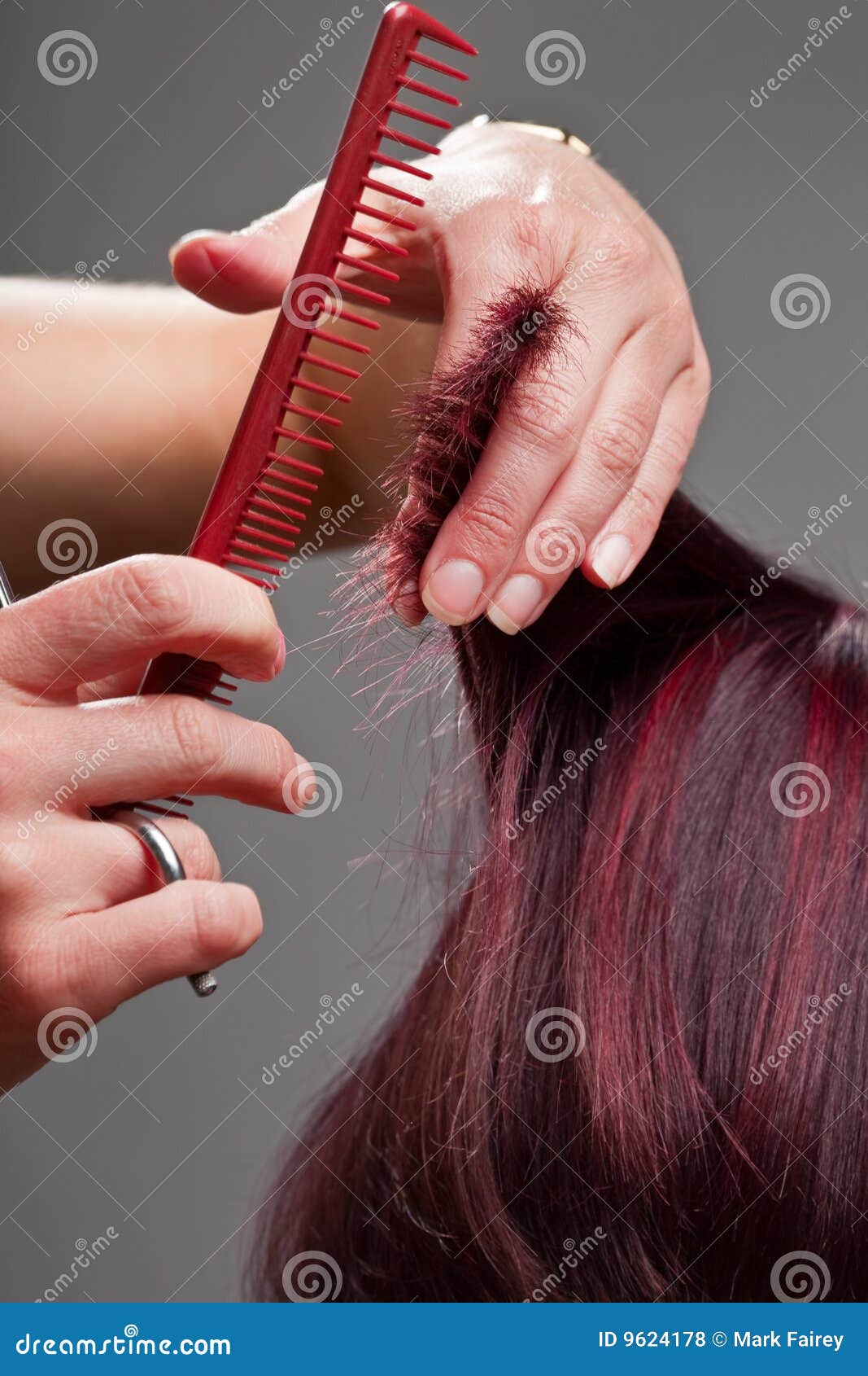 Hairdressing stock photo. Image of hair, hands, caucasian - 9624178