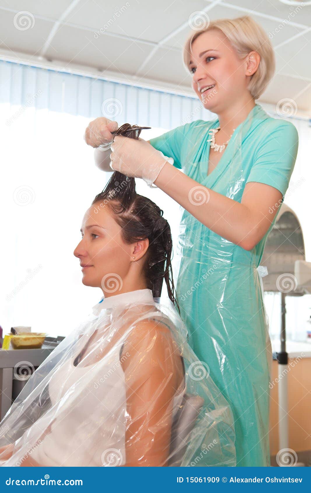 Hairdressing salon stock image. Image of hairstyle, people - 15061909