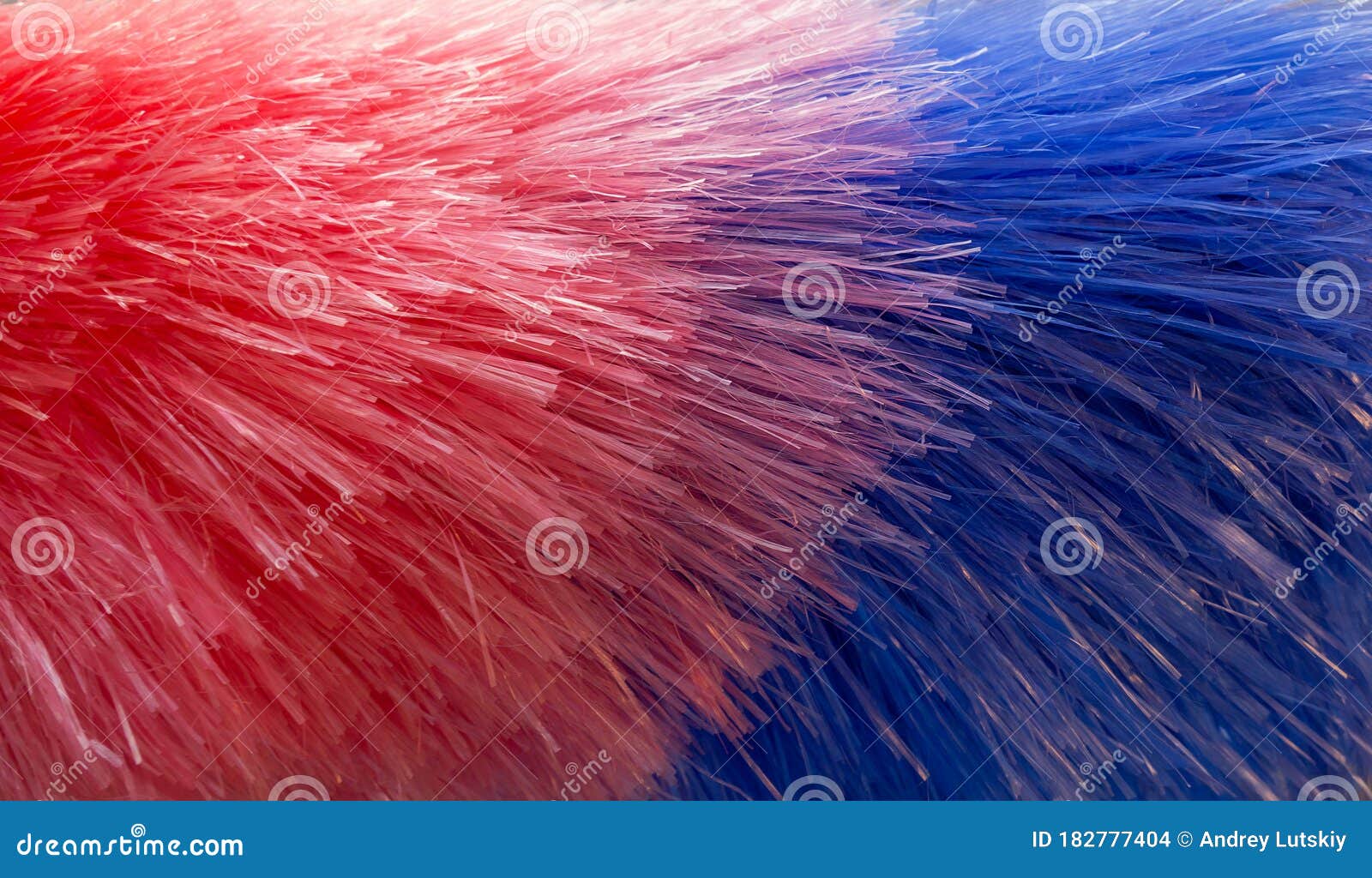The Hairs on PP Duster Red and Blue. Stock Photo - Image of microfiber ...