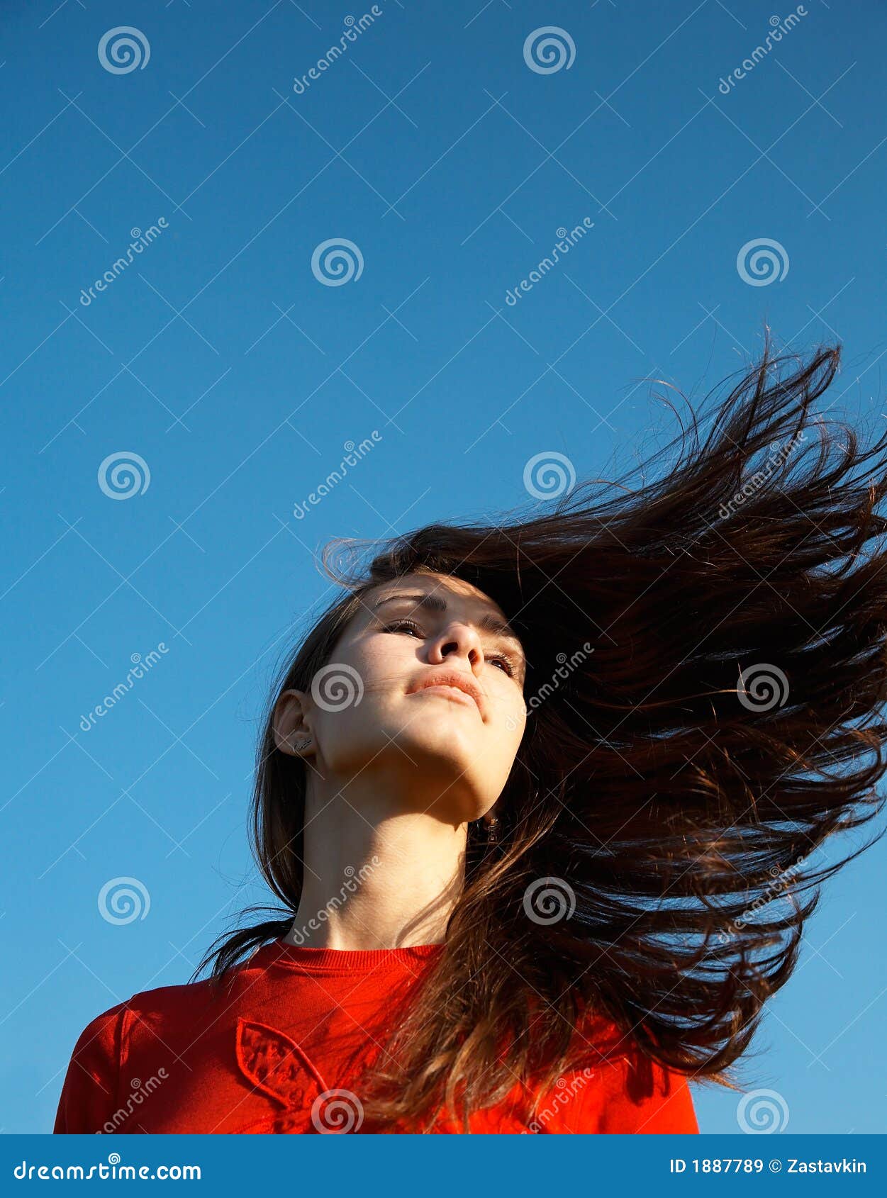 Hairs on the wind stock image. Image of beautiful, ladies - 1887789