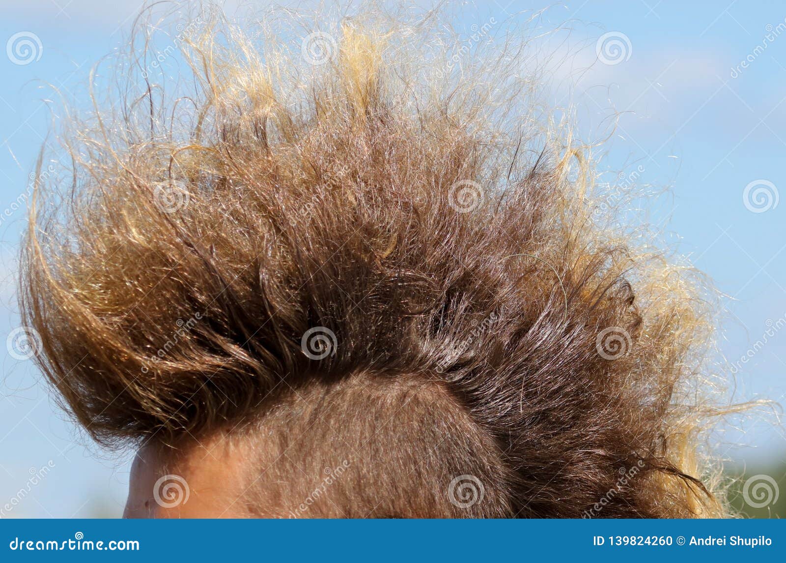 Hairstyle on the Head of a Punk Man Stock Photo - Image of bleached ...