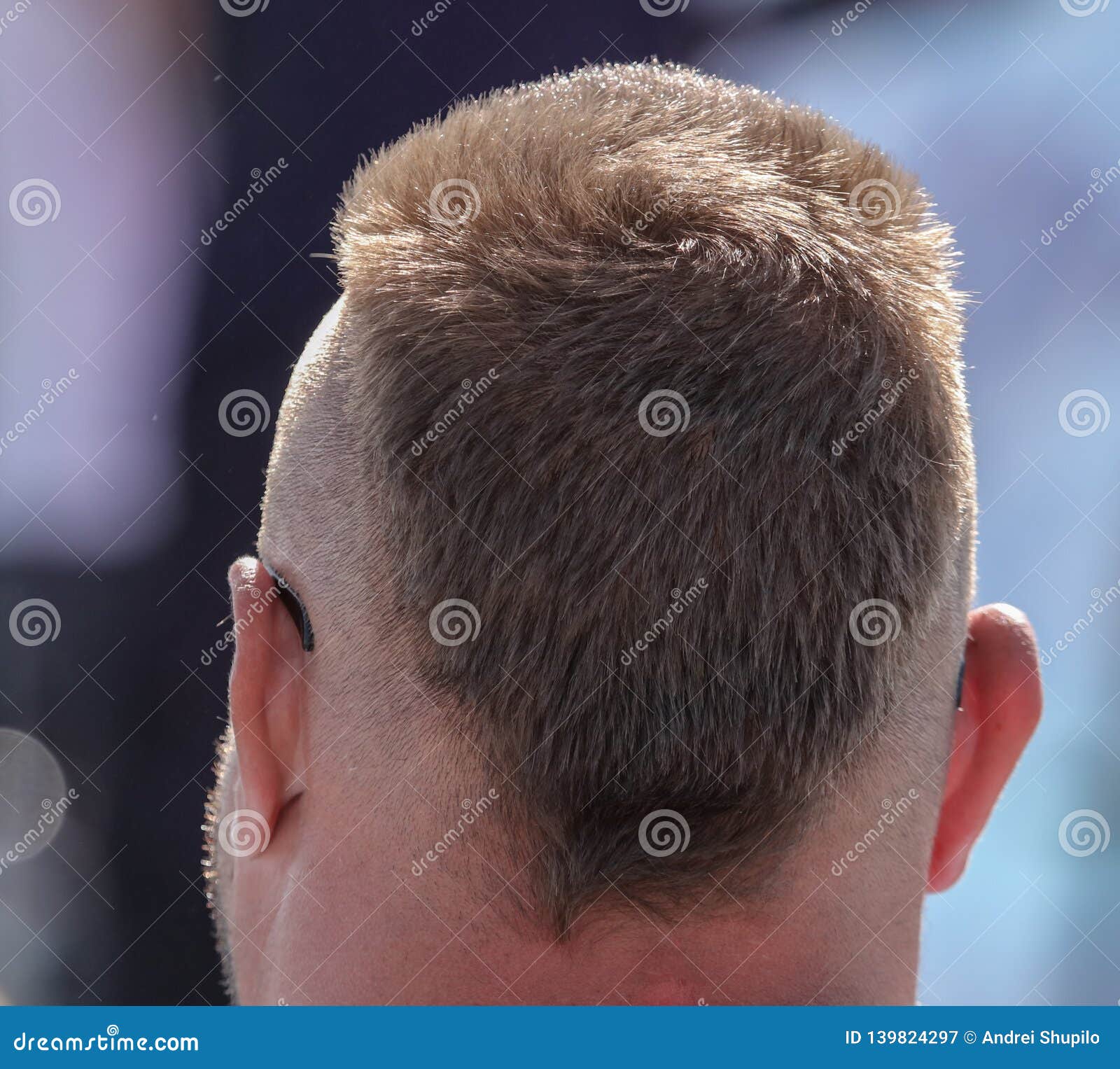 Hairstyle on the Head of a Punk Man Stock Image - Image of human ...