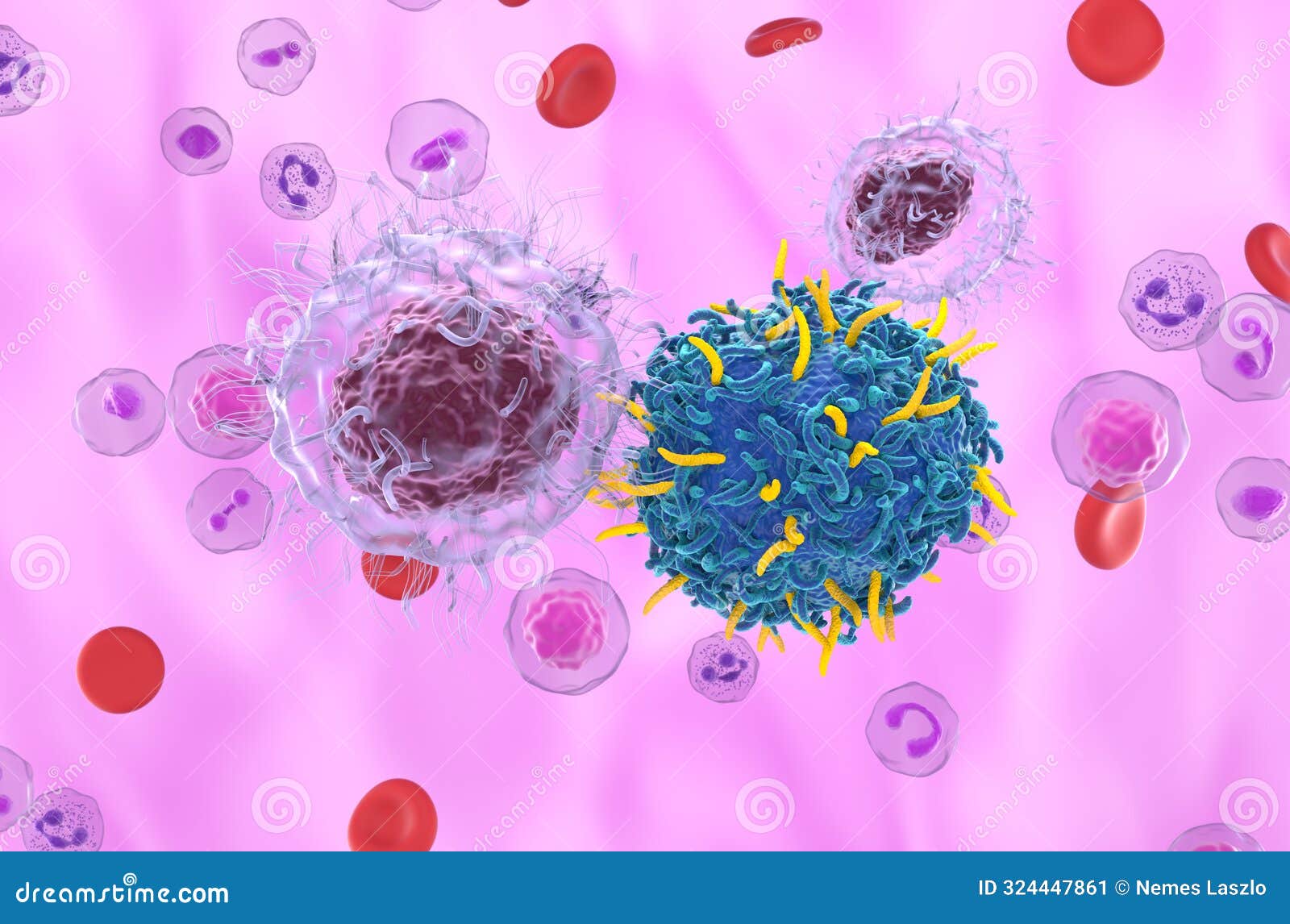 CAR T Cell Therapy in Hairy Cell Leukemia (HCL) - Closeup View 3d ...