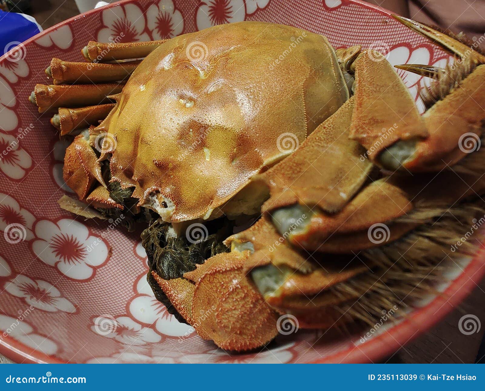 Hairy crab side view stock image. Image of meat, meal - 235113039