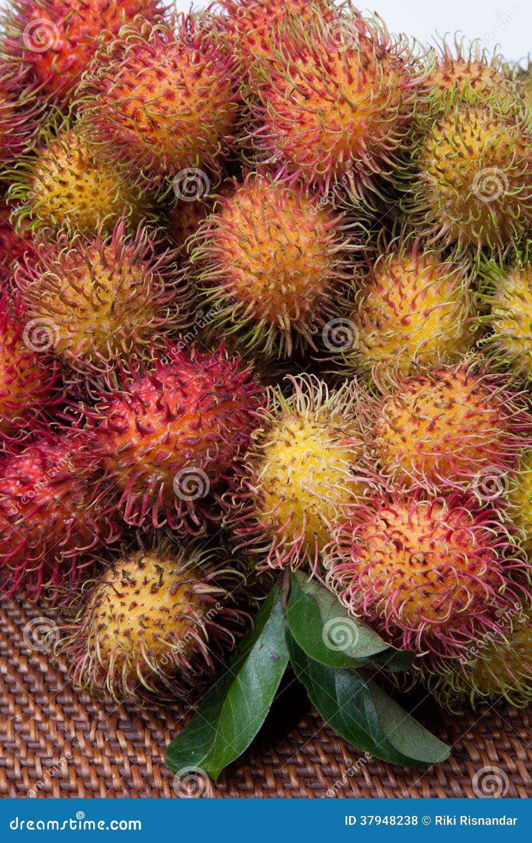 Hairy Fruit Rambutan Indonesia Stock Photo - Image of rambutan ...