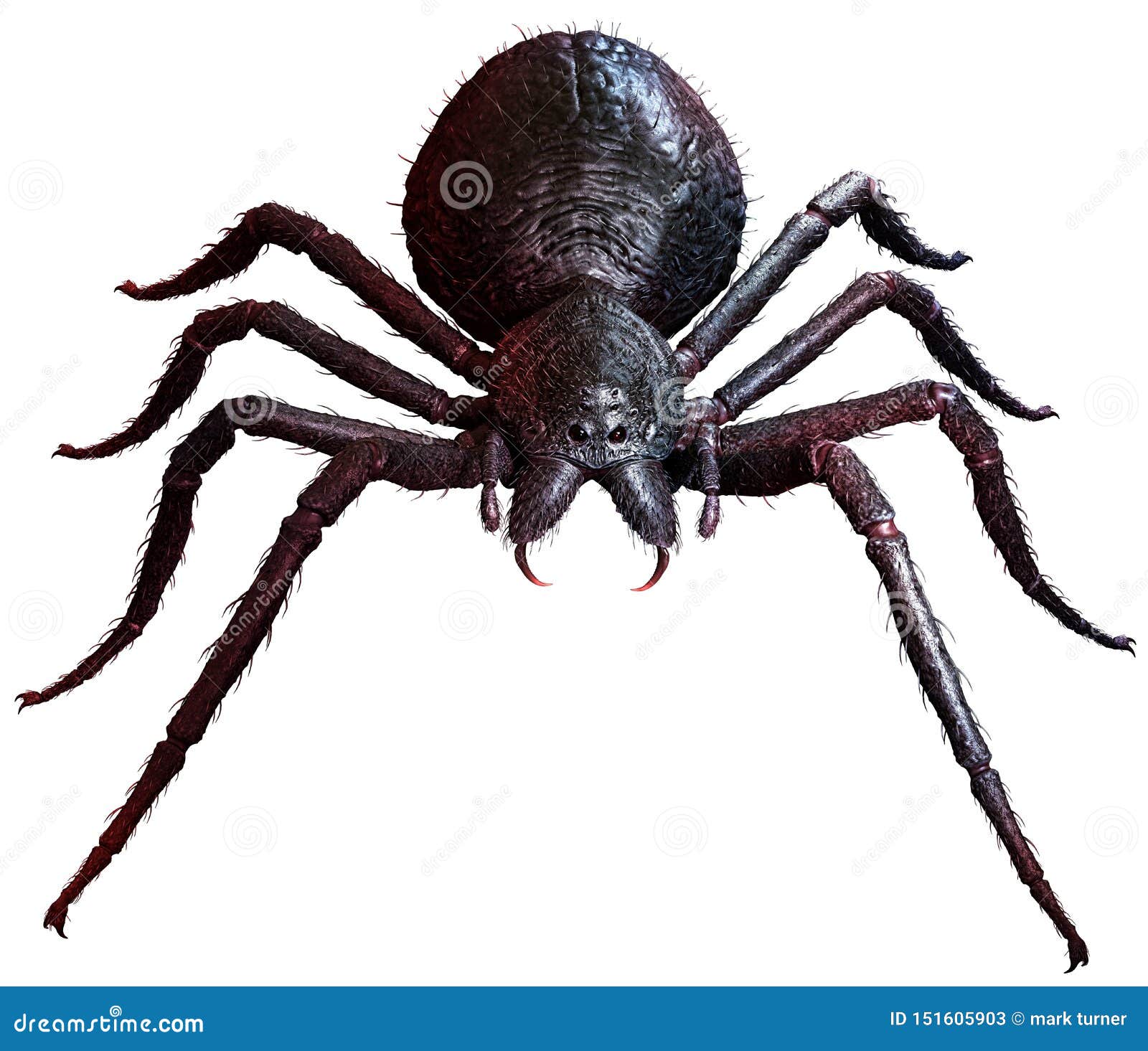 A Giant Spider Royalty-Free Cartoon | CartoonDealer.com #127839515