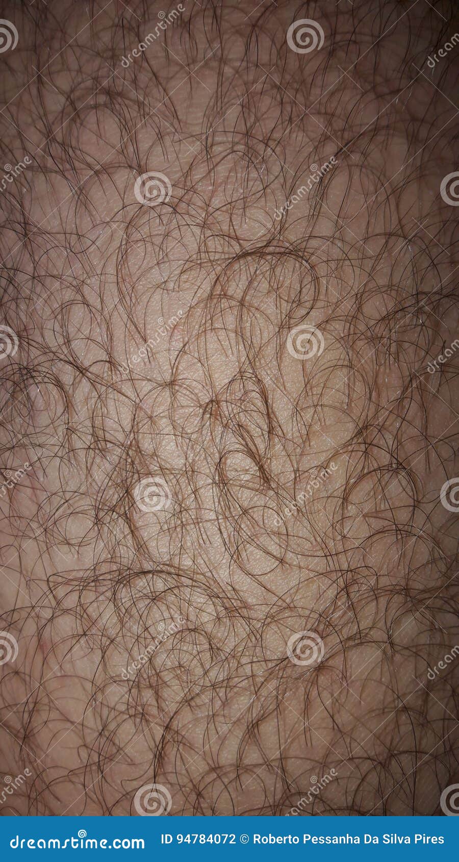 Hairy leg. stock photo. Image of white, texture, textured - 94784072