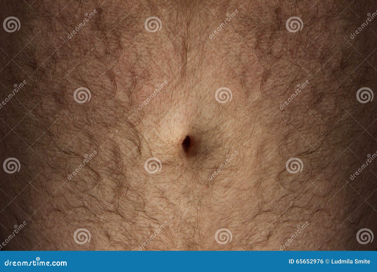 Hairy men s belly. stock photo. Image of person, center - 65652976