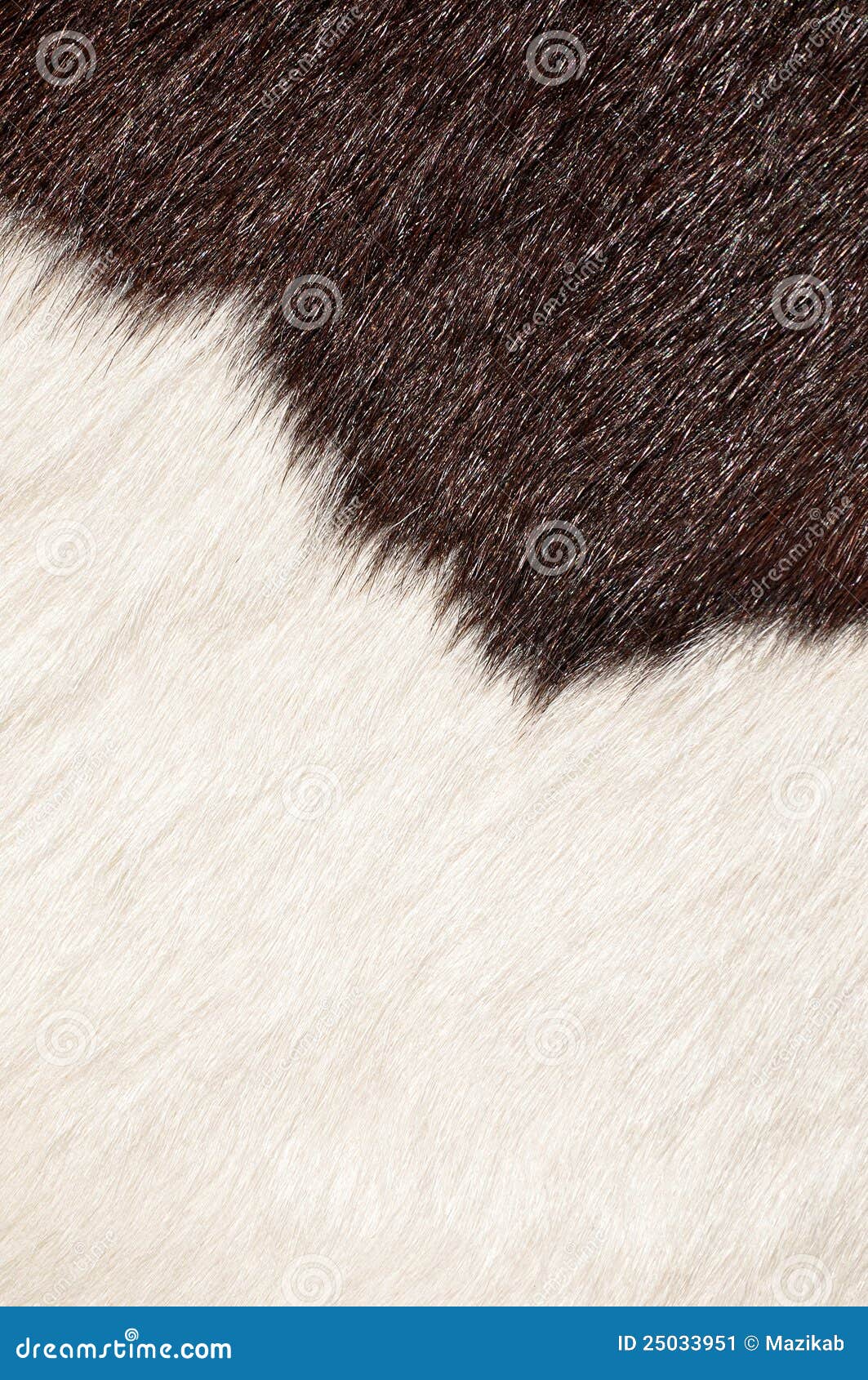 Hairy texture of cow stock image. Image of agriculture - 25033951