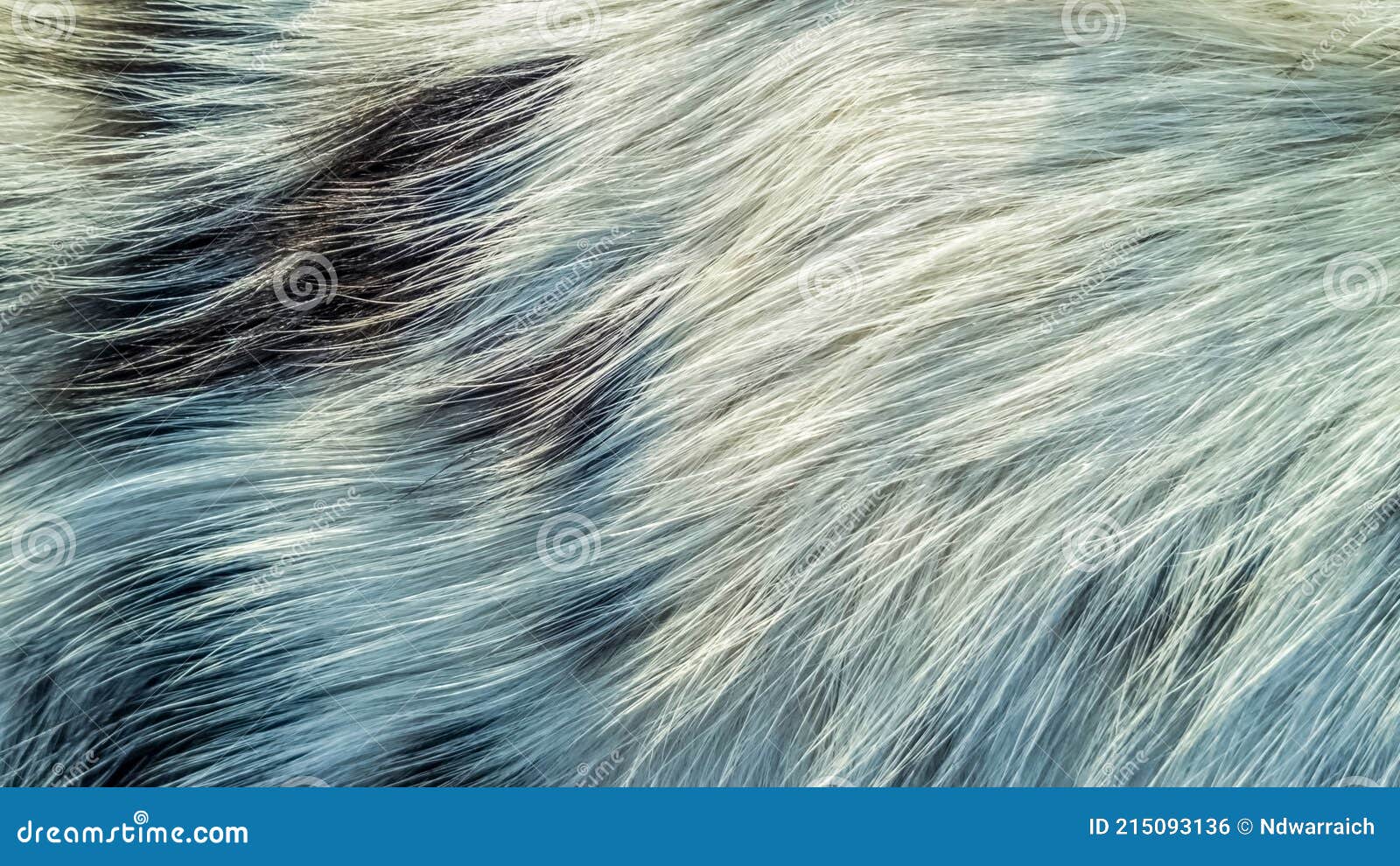 Hairy texture of a fur stock photo. Image of animal - 215093136