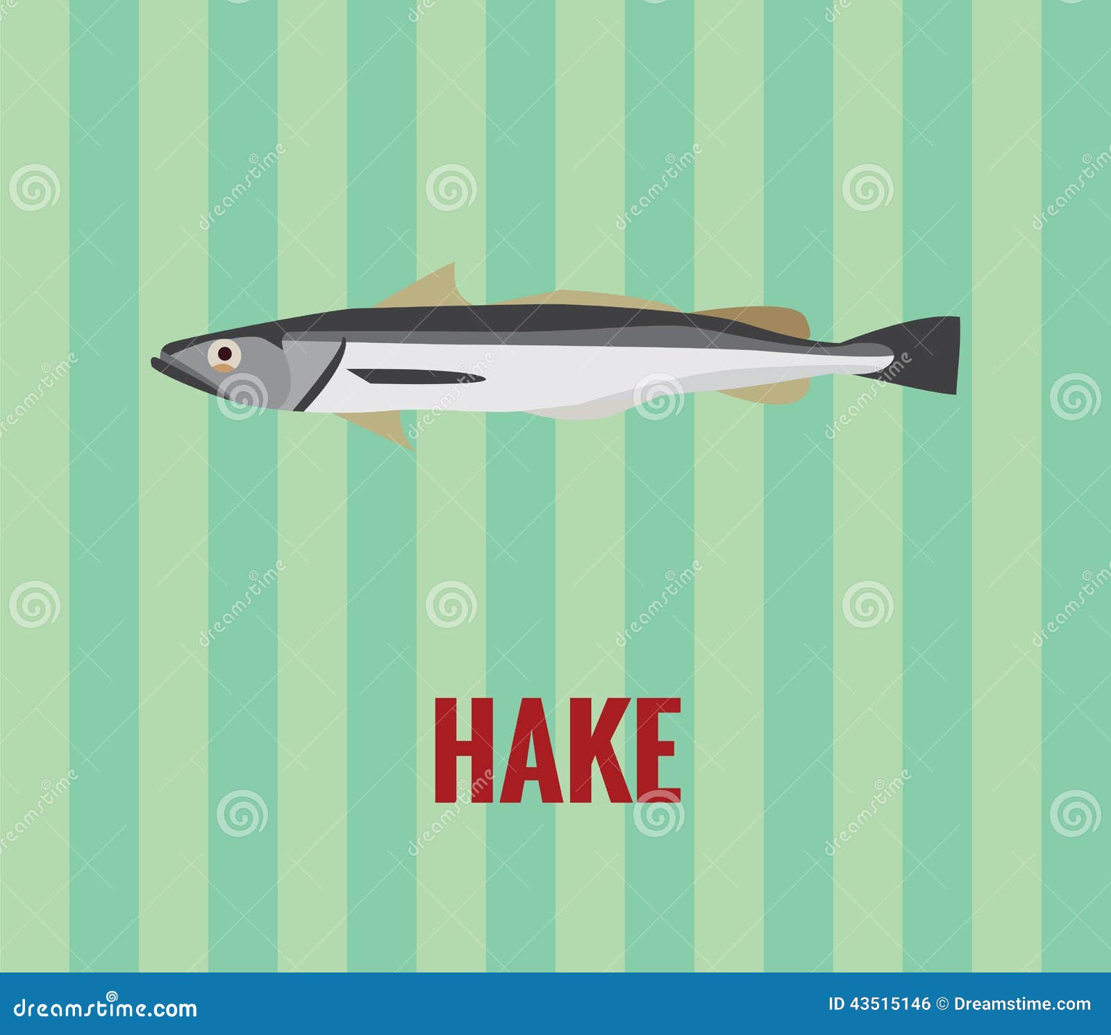 Hake Vector Illustration | CartoonDealer.com #88663160