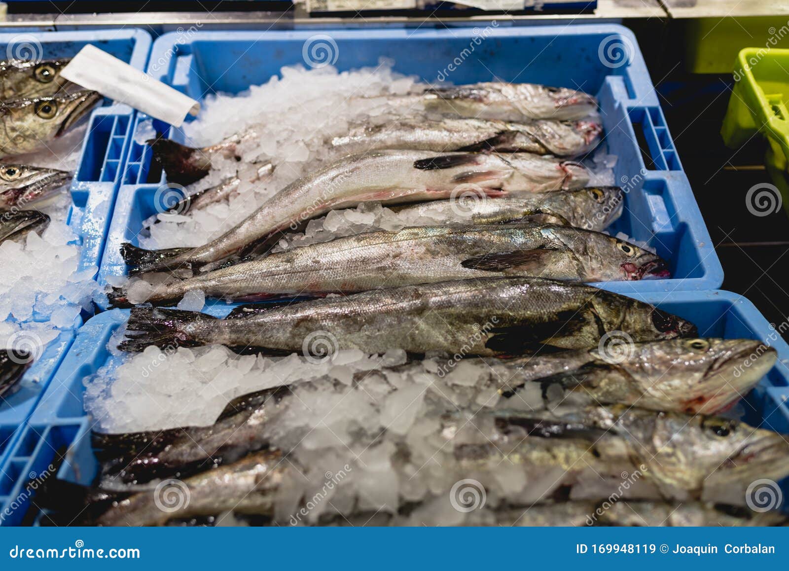 Hake Fish in a Box with Ice in a Fishmonger Stock Image - Image of ...