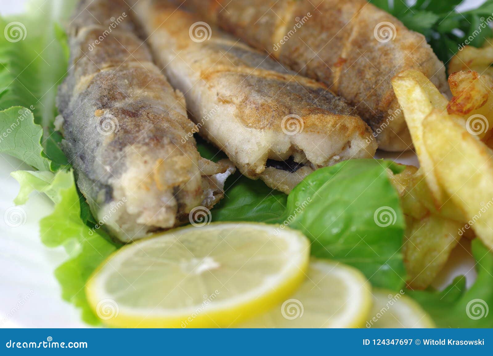 Hake fish on plate stock image. Image of salad, fresh - 124347697