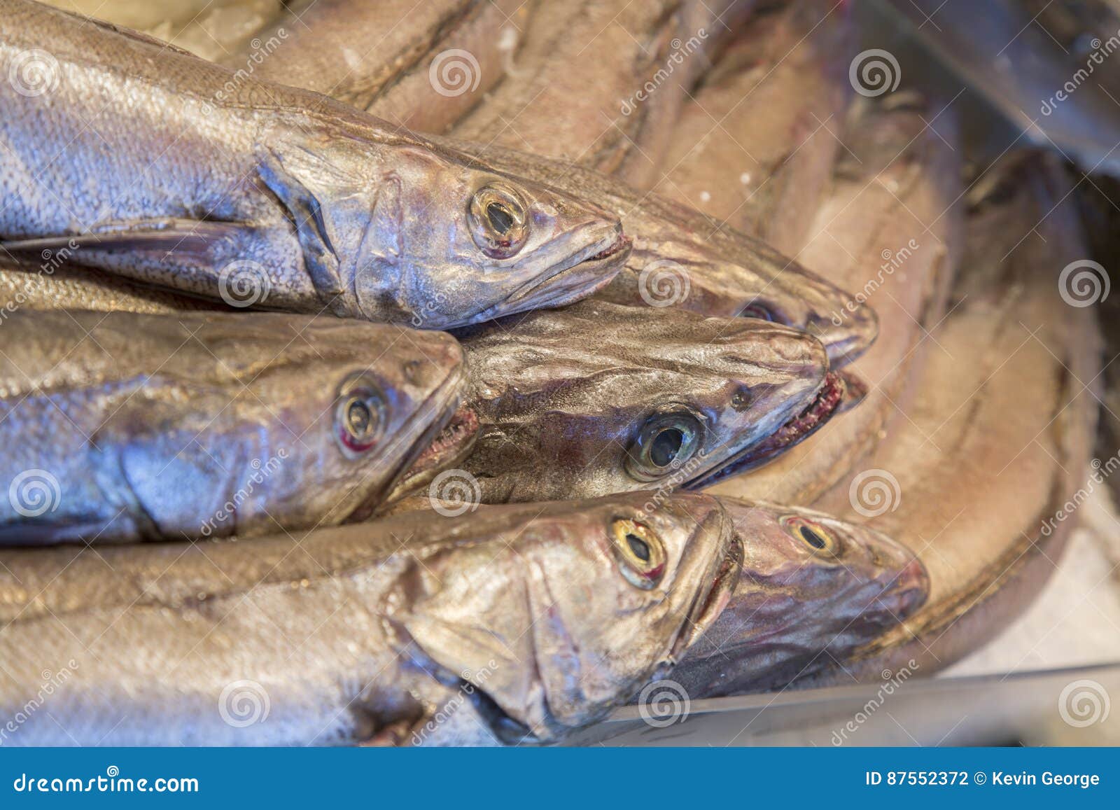 Hake Fish Heads stock photo. Image of anchovy, market - 87552372