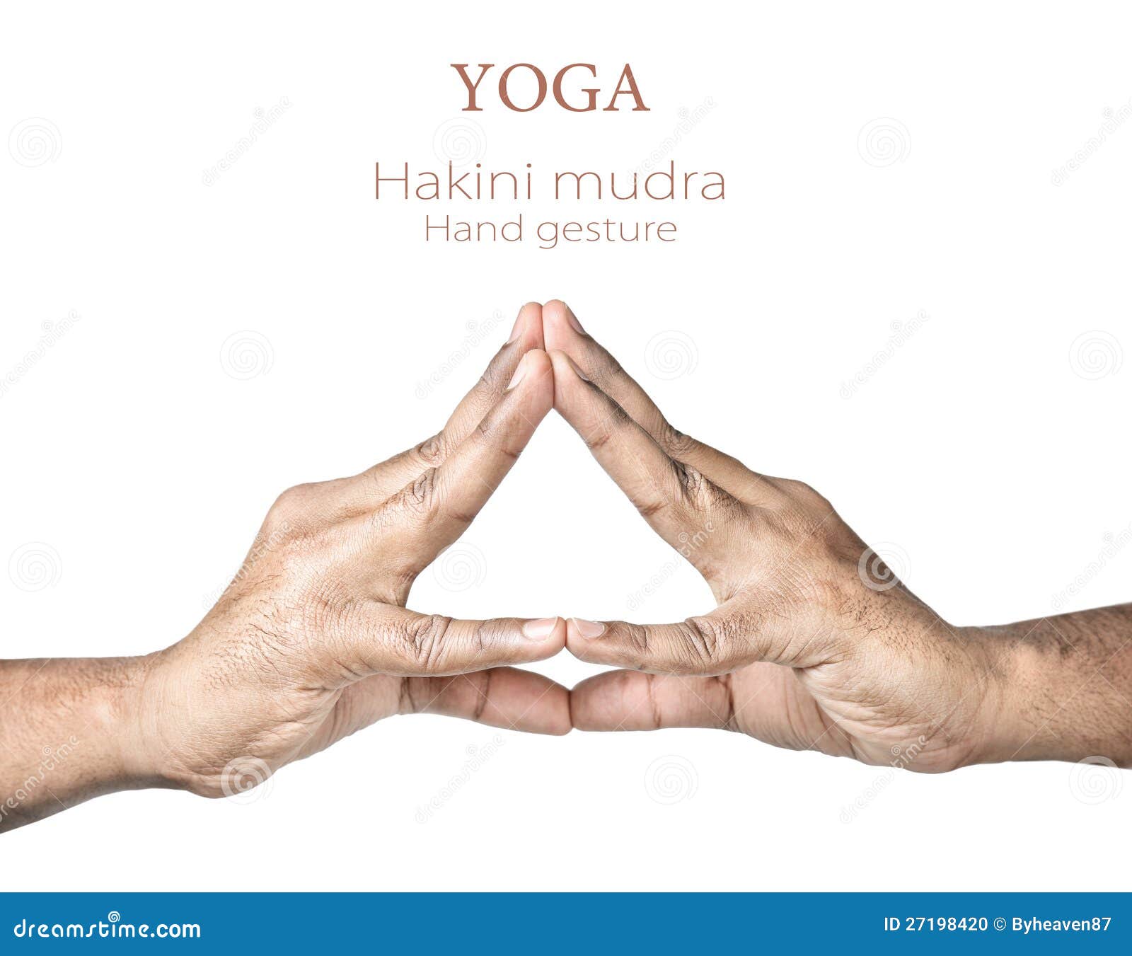 Hakini mudra stock photo. Image of pray, guru, awareness - 27198420
