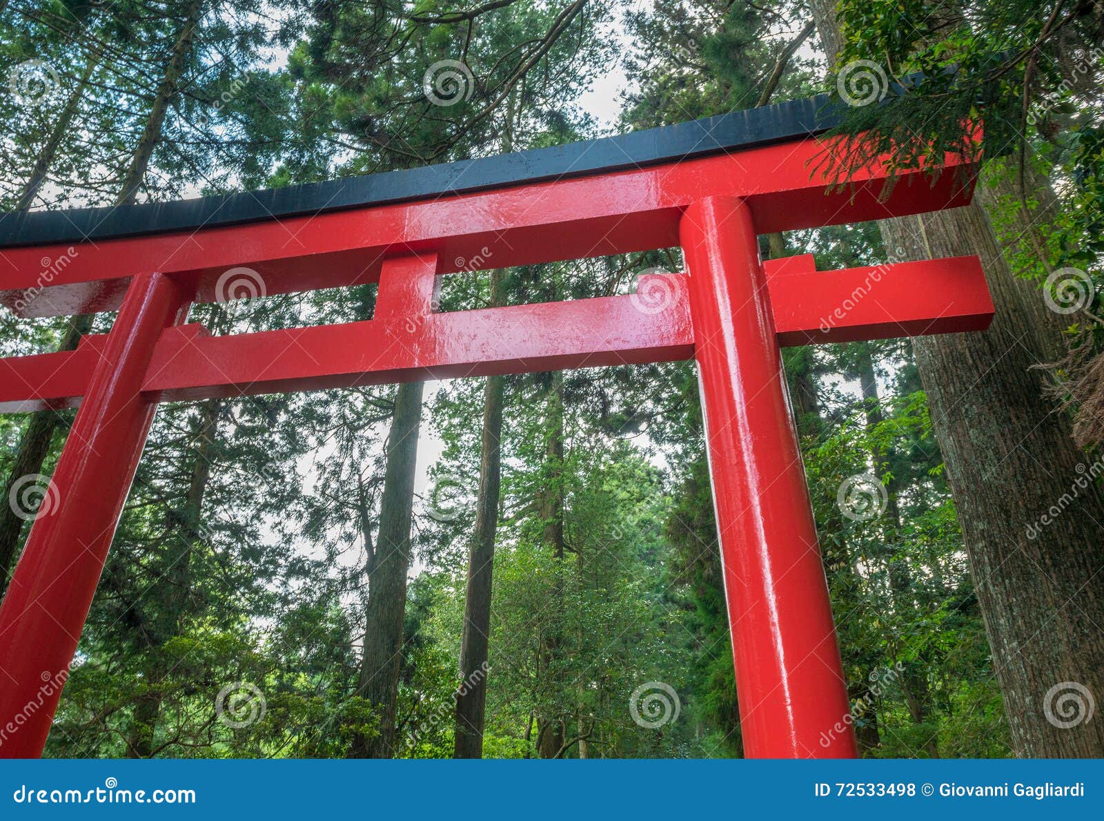 Hakone Shrine Entrance Gate, Japan Stock Photo - Image of travel ...