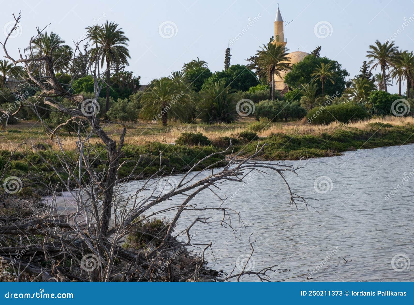 Hala Sultan Tekke Mosque on Salt Lake, Larnaca, Cyprus Stock Image ...