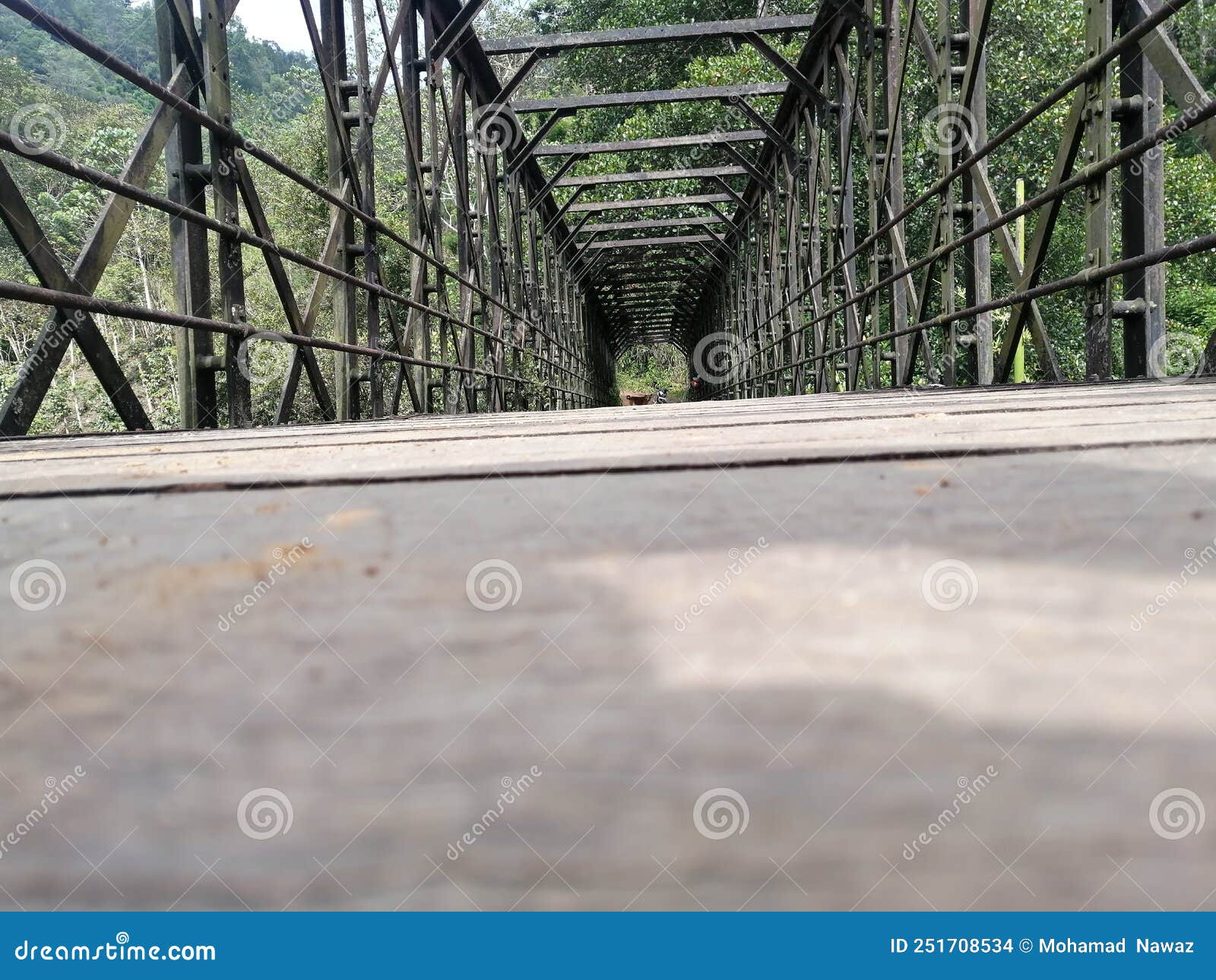 Halaba bridge stock photo. Image of walkway, fence, road - 251708534