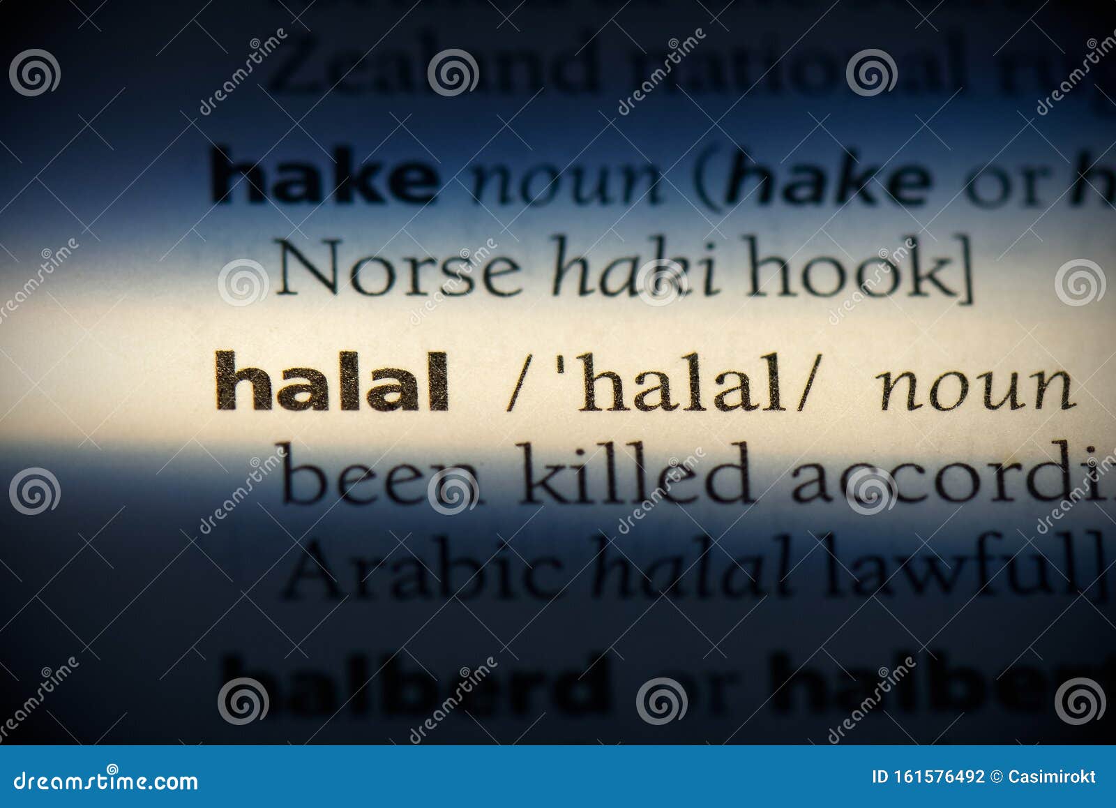 Halal stock photo. Image of vocabulary, concept, learn - 161576492