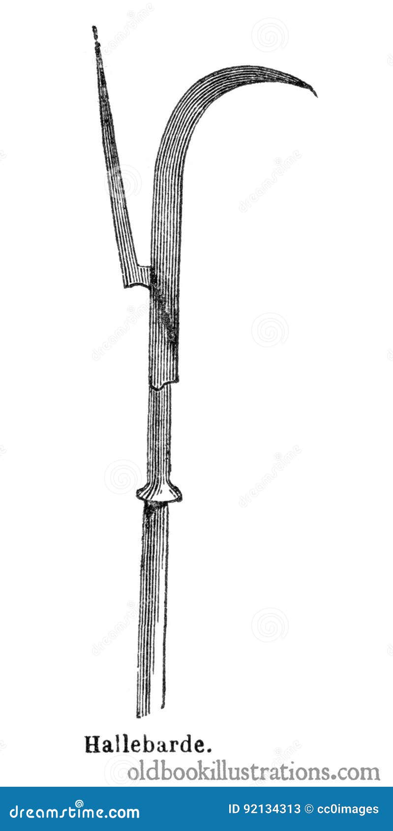 Halberd Picture. Image: 92134313