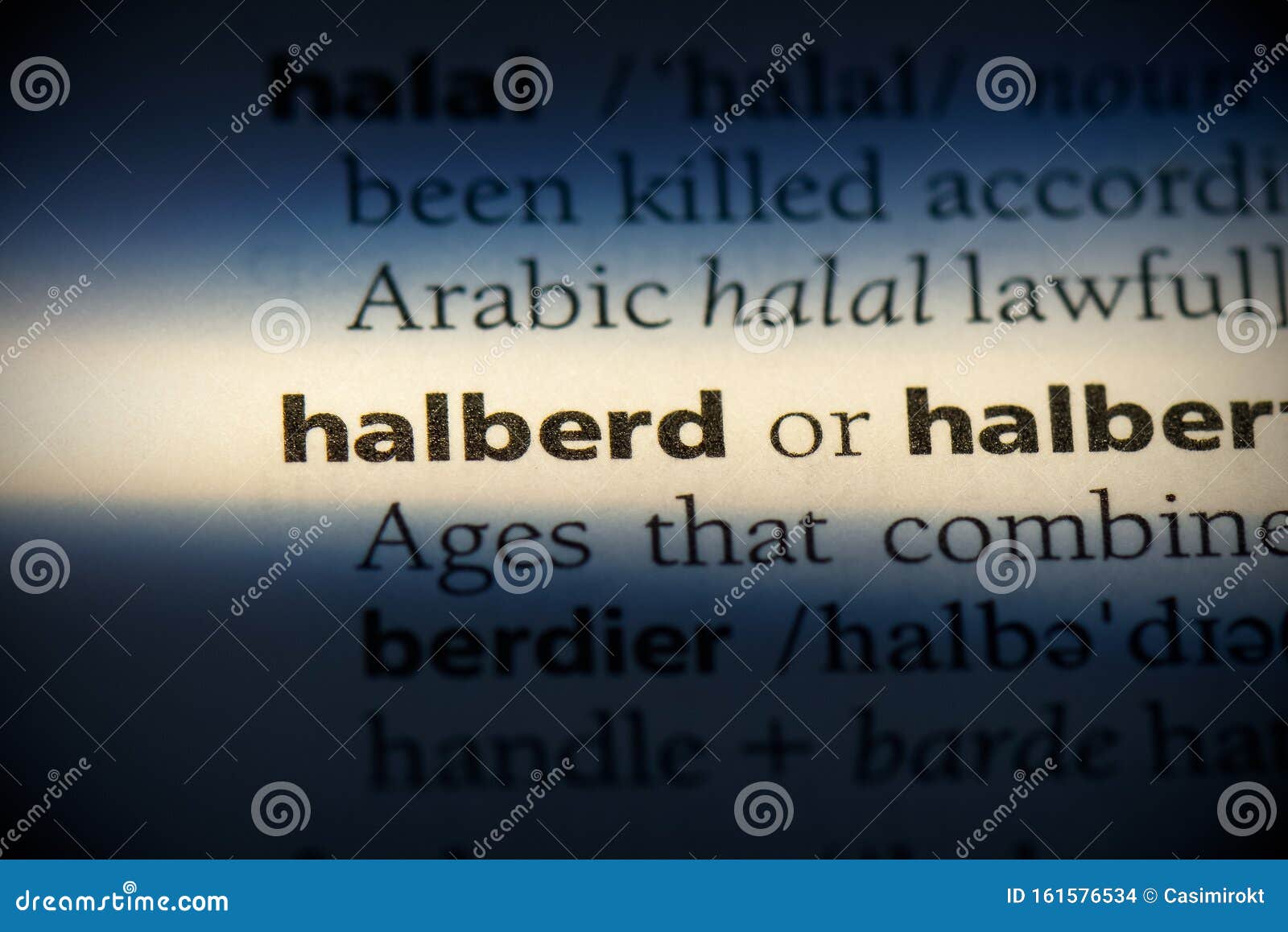 Halberd stock photo. Image of closeup, etymology, meaning - 161576534
