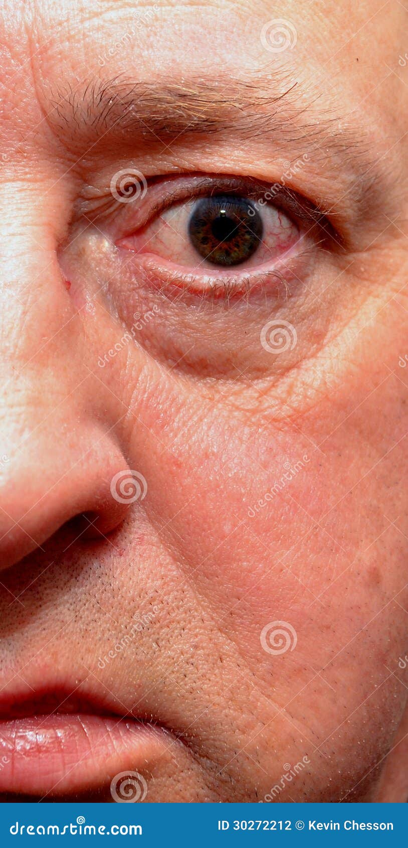 Halbes Gesicht stockfoto. Bild von halb, kopf, blick - 30272212